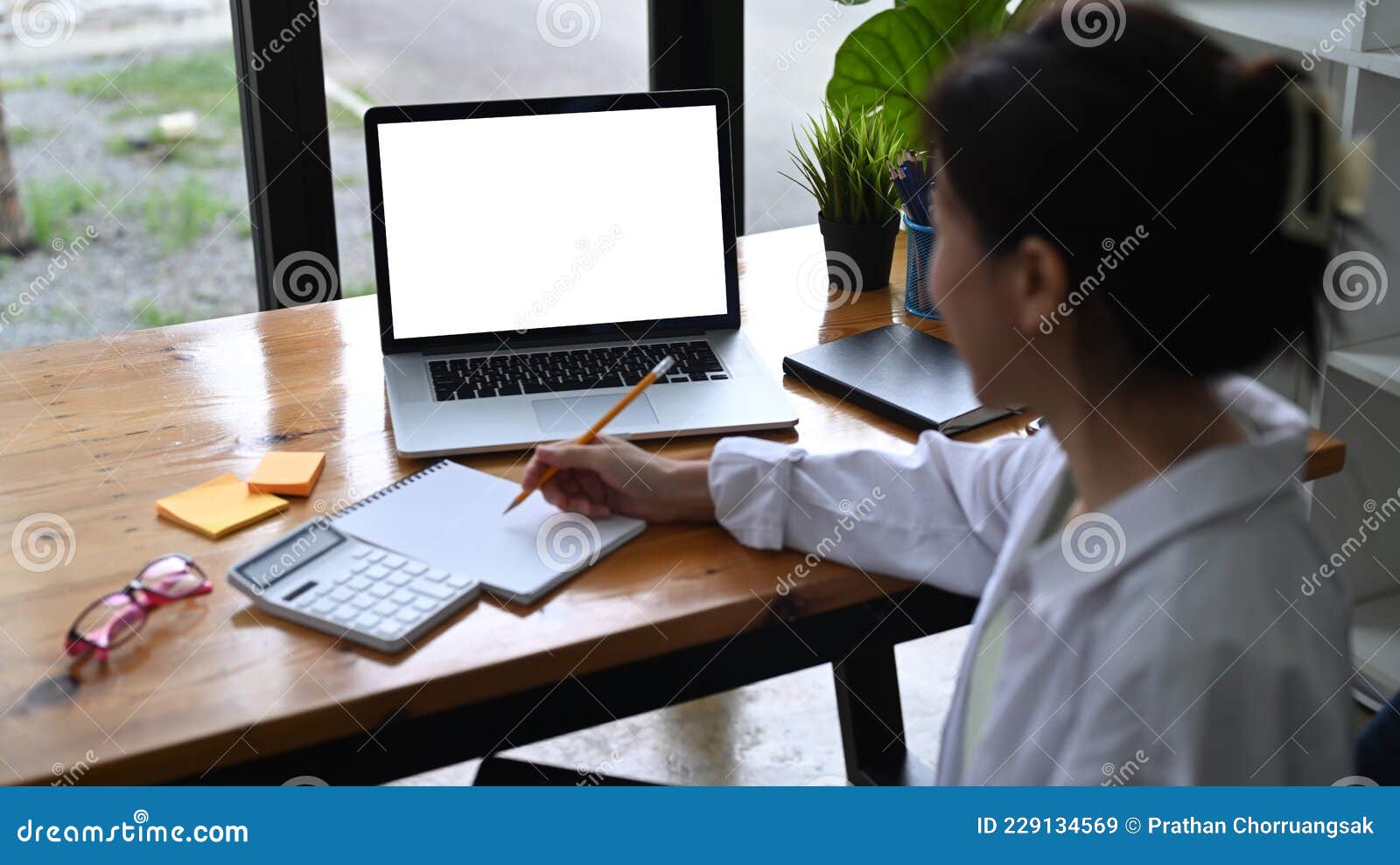 Female Accountant Making Note on Notebook and Working with Laptop ...