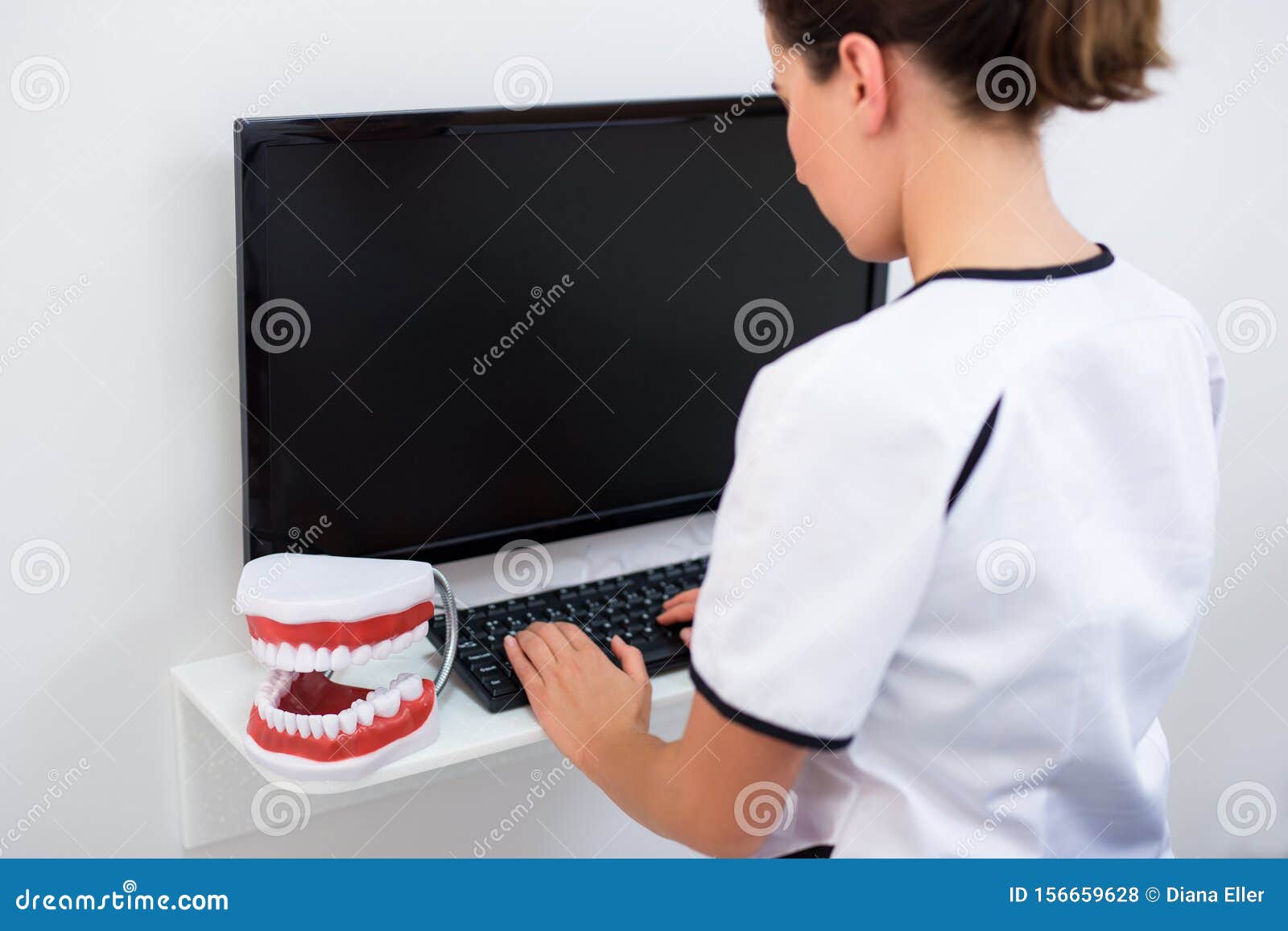 Back View of Female Dentist Working with Computer Stock Photo - Image ...