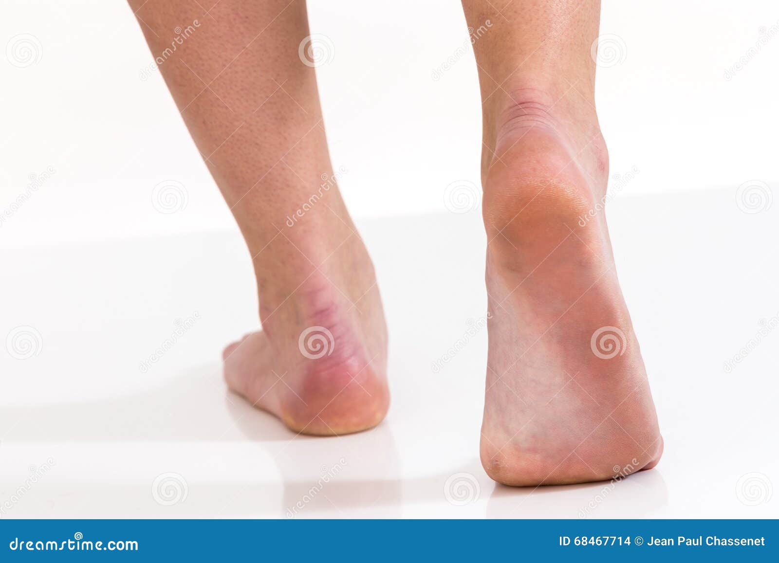 Back View Female Feet on White Background Stock Photo - Image of ...
