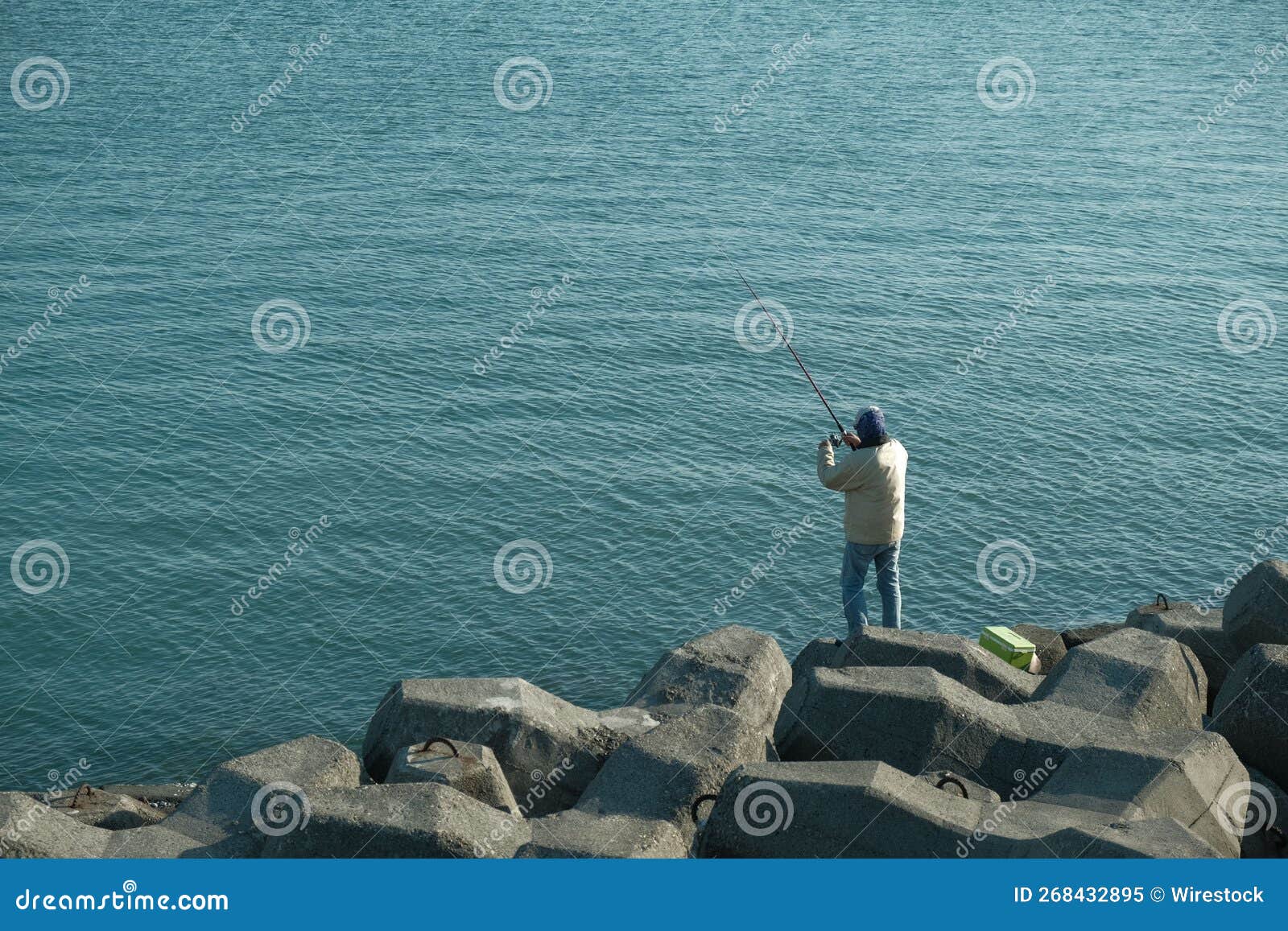 Back View of a Fisherman Catching Fish on the Coast Stock Image - Image ...