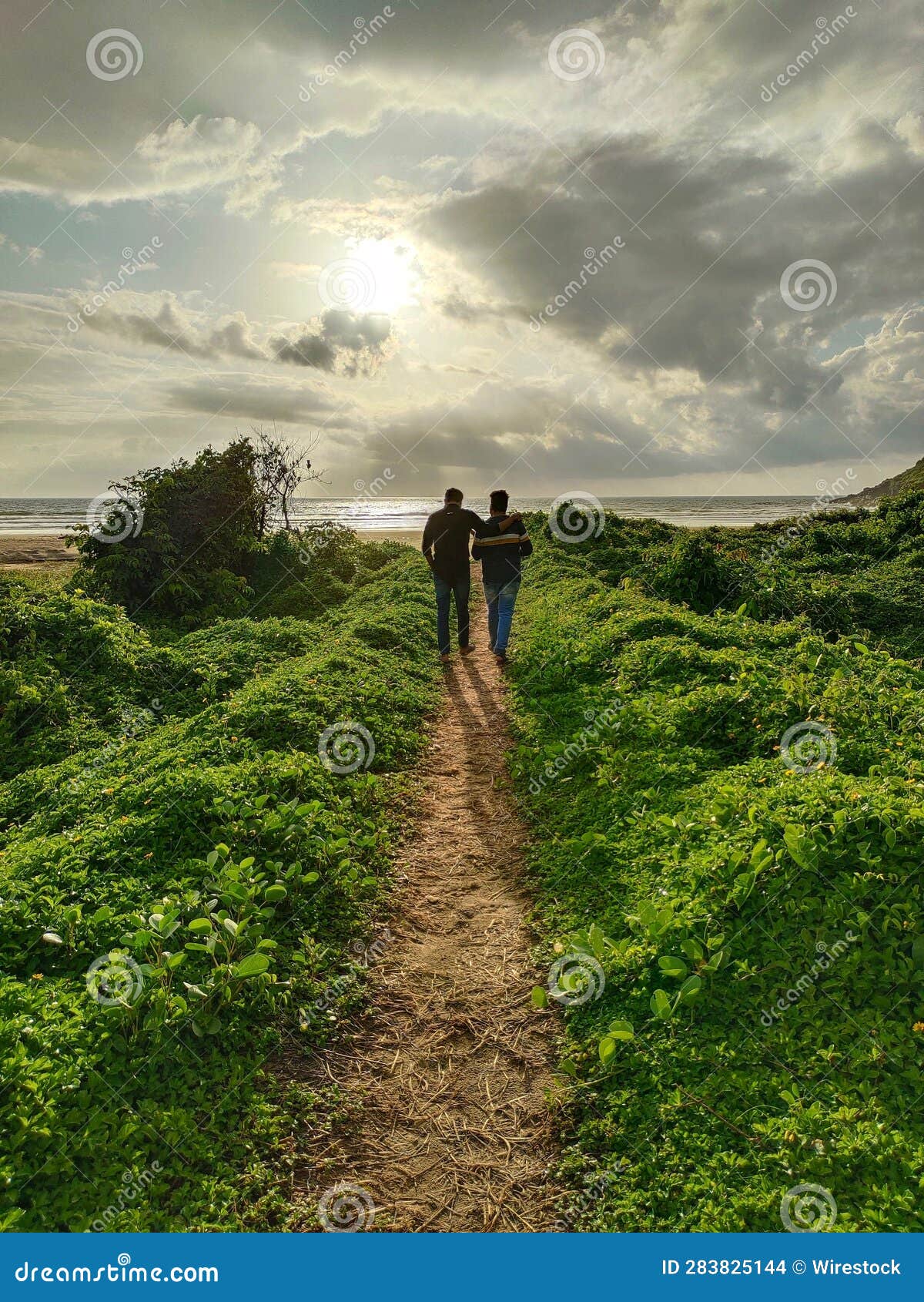 Back View of Friends Walking in Greenery Field Stock Photo - Image of ...