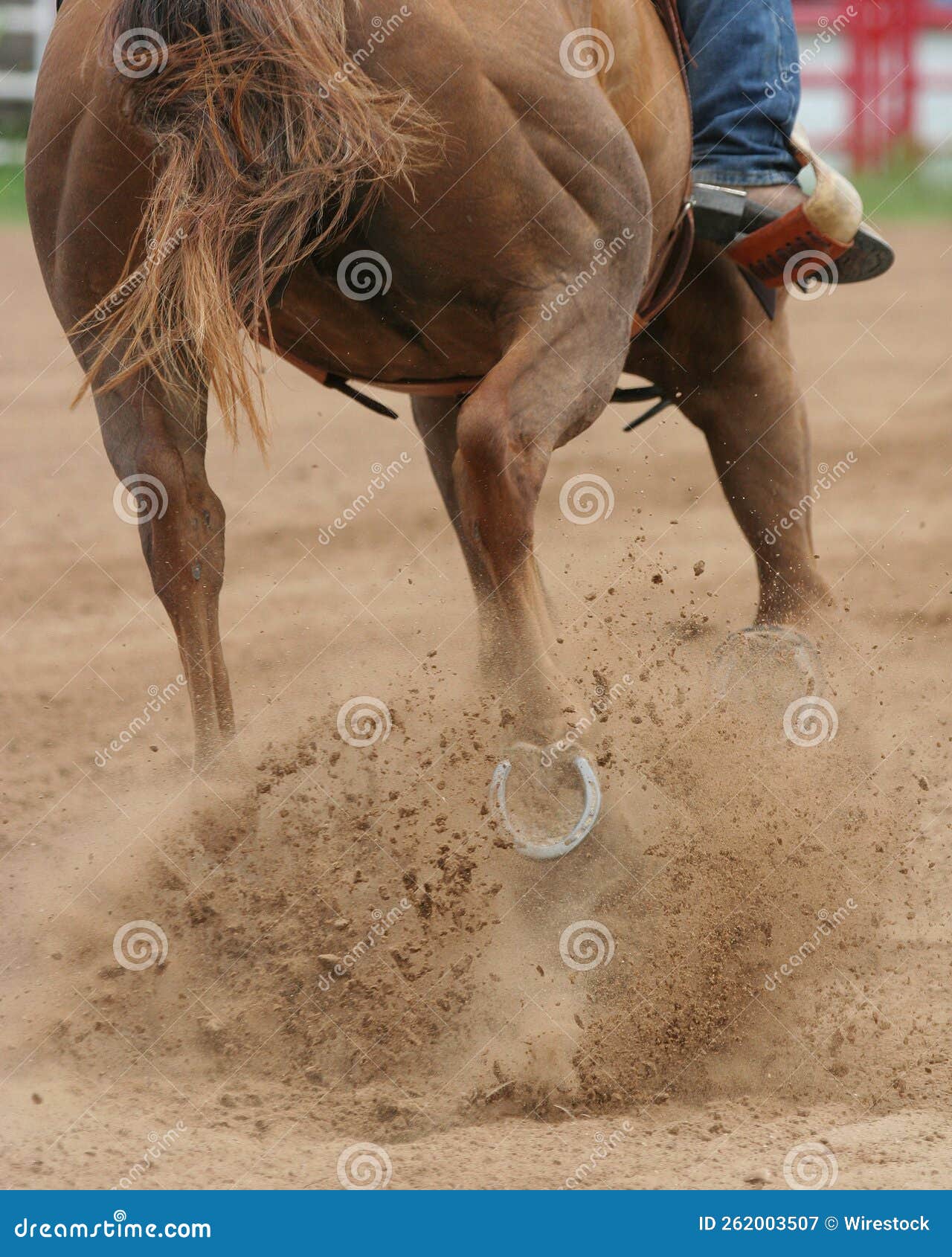 Back View of a Galloping Horse at Rodeo Stock Image - Image of majestic ...