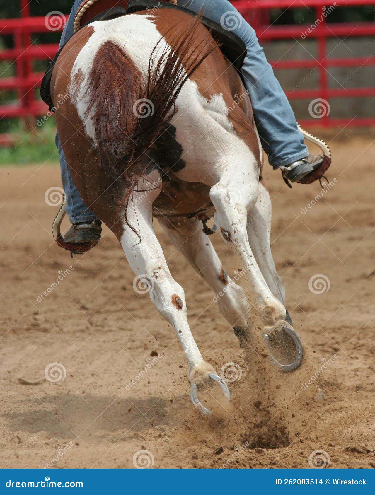 Back View of a Galloping Horse at Rodeo Stock Photo - Image of mare ...