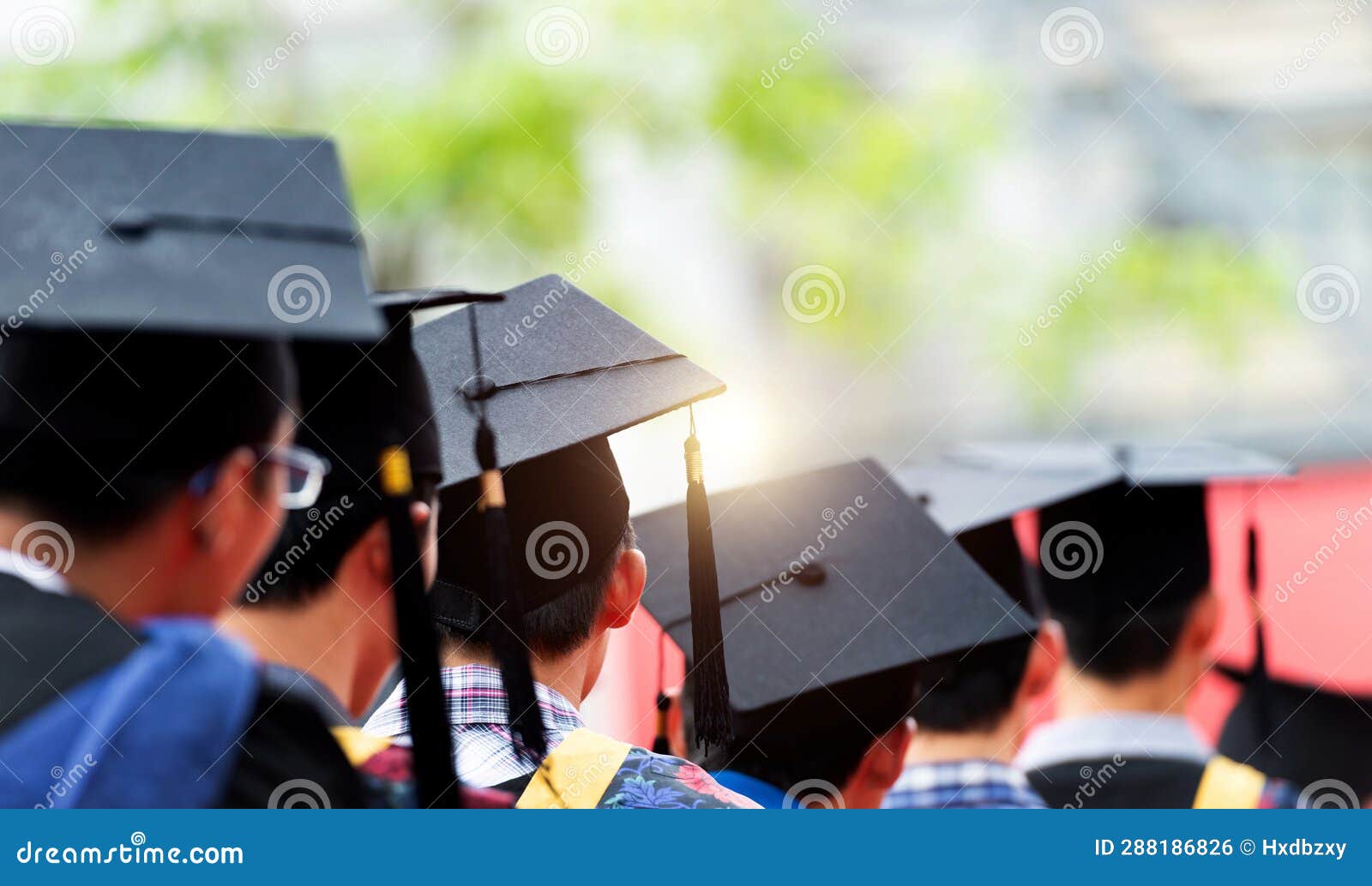 Back view of graduates stock photo. Image of graduats - 288186826