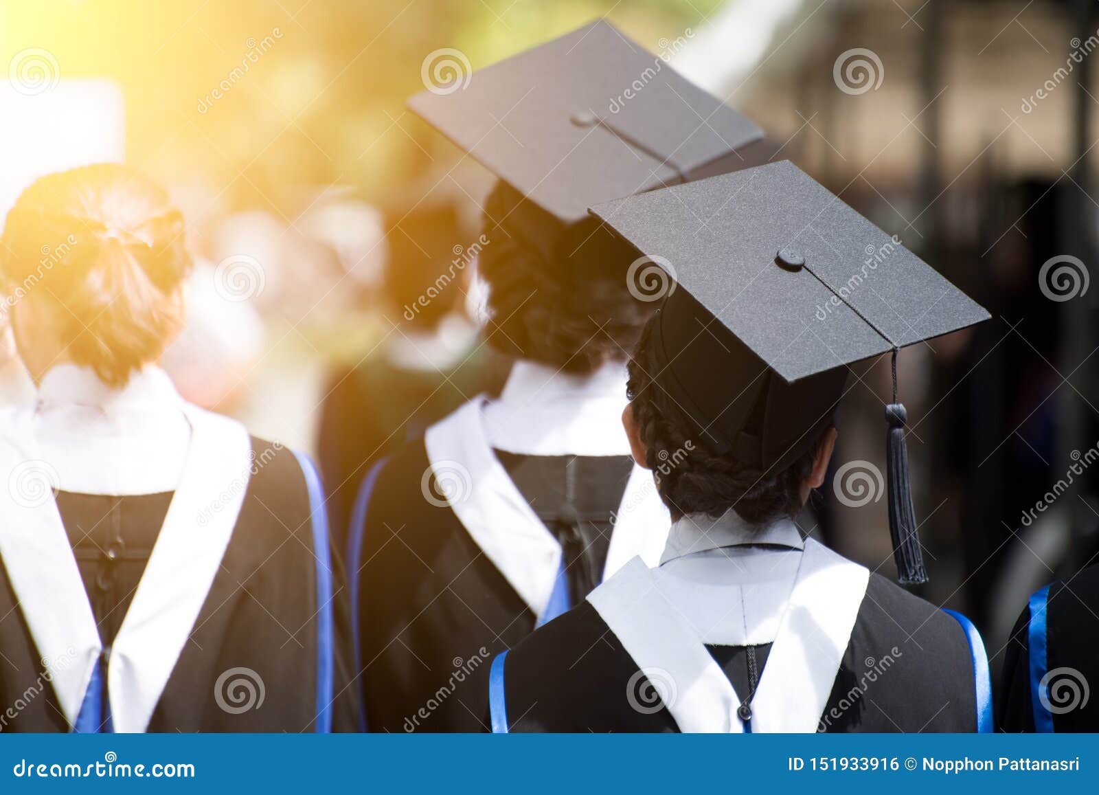 Back View of Graduates during Commencement. Concept Education ...