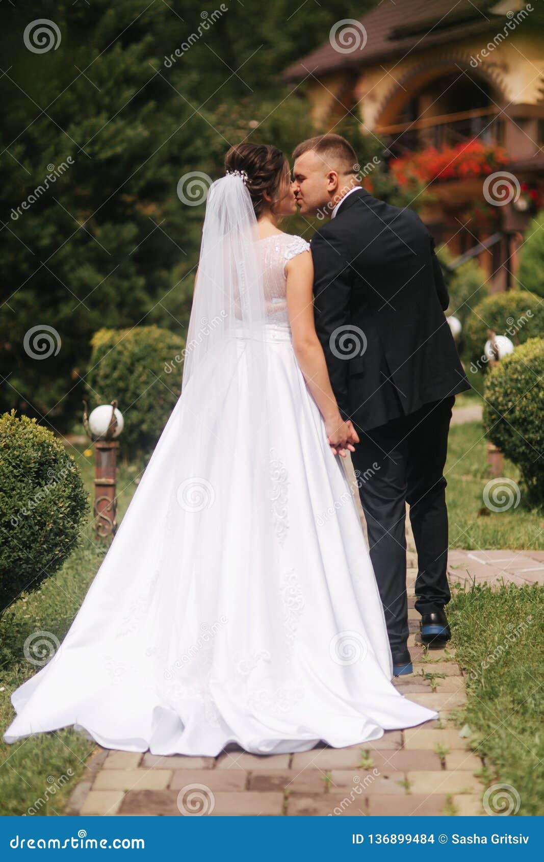 Back View of Groom and Bride. Couple Walks in the Park Stock Photo ...