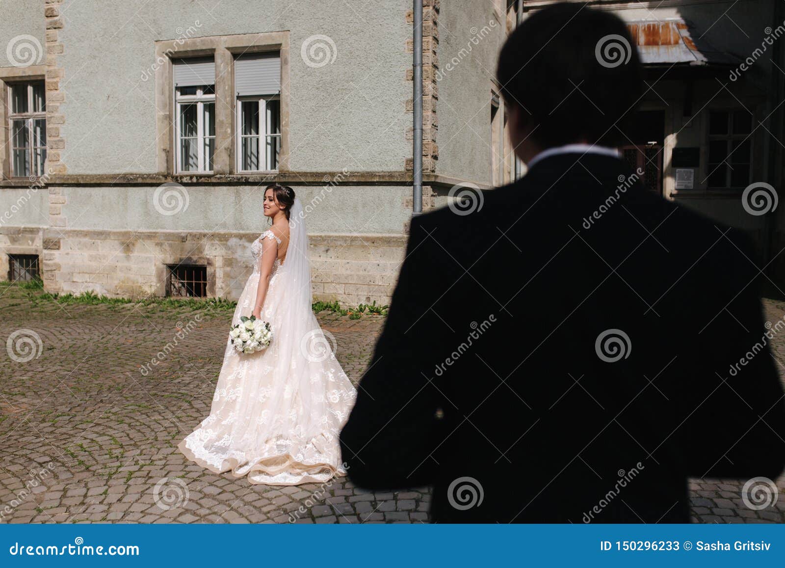 Back View of Groom Standing Back and Looking on His Bride Stock Image ...