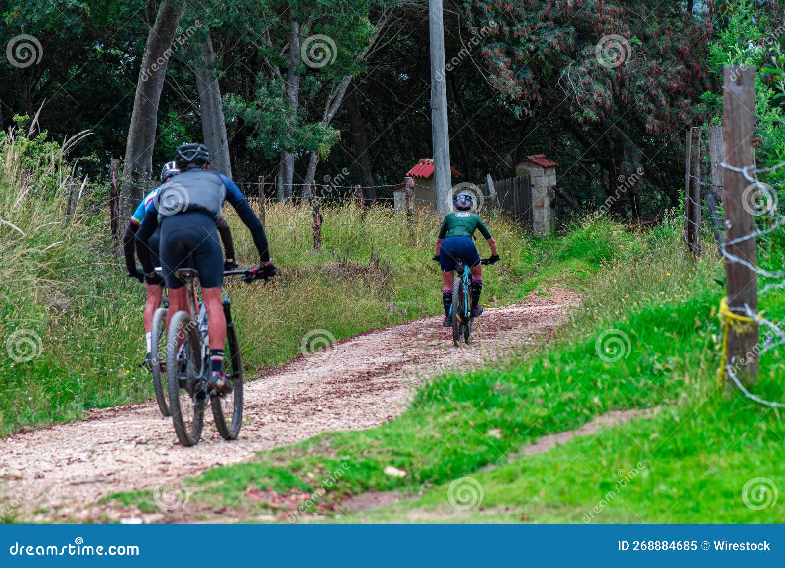 Back View of a Group of Cyclists on a Dirt Road with Fresh Grass Stock ...