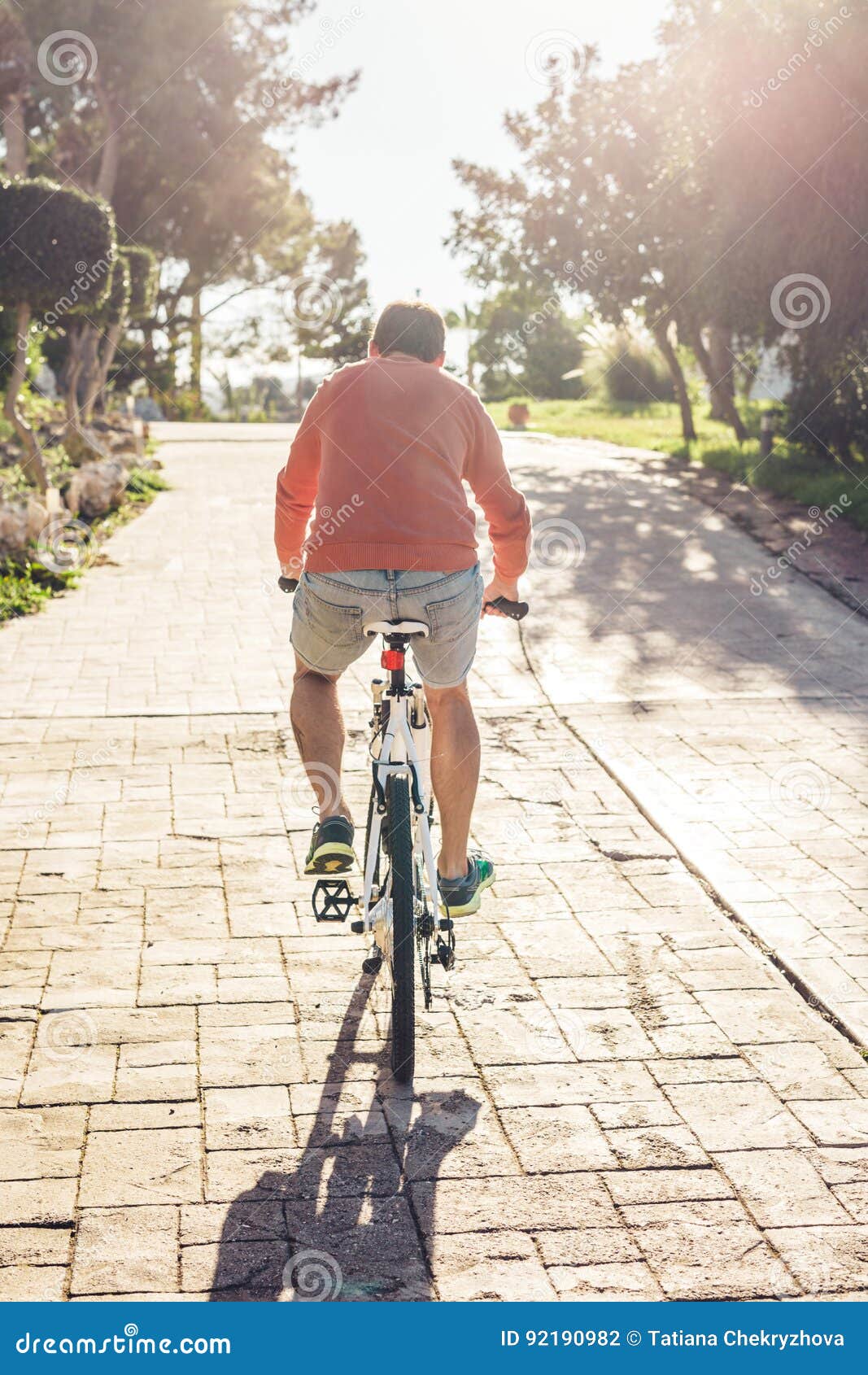 Back View of Handsome Guy Riding Bicycle in the Park Stock Photo ...