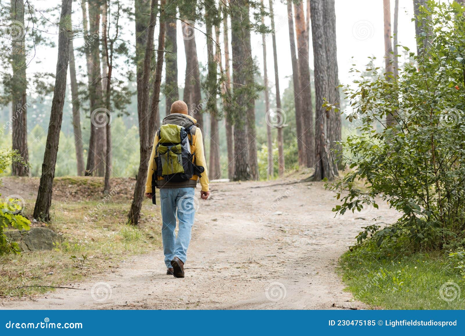 Back View of Hiker with Backpack Stock Image - Image of hiking, weekend ...