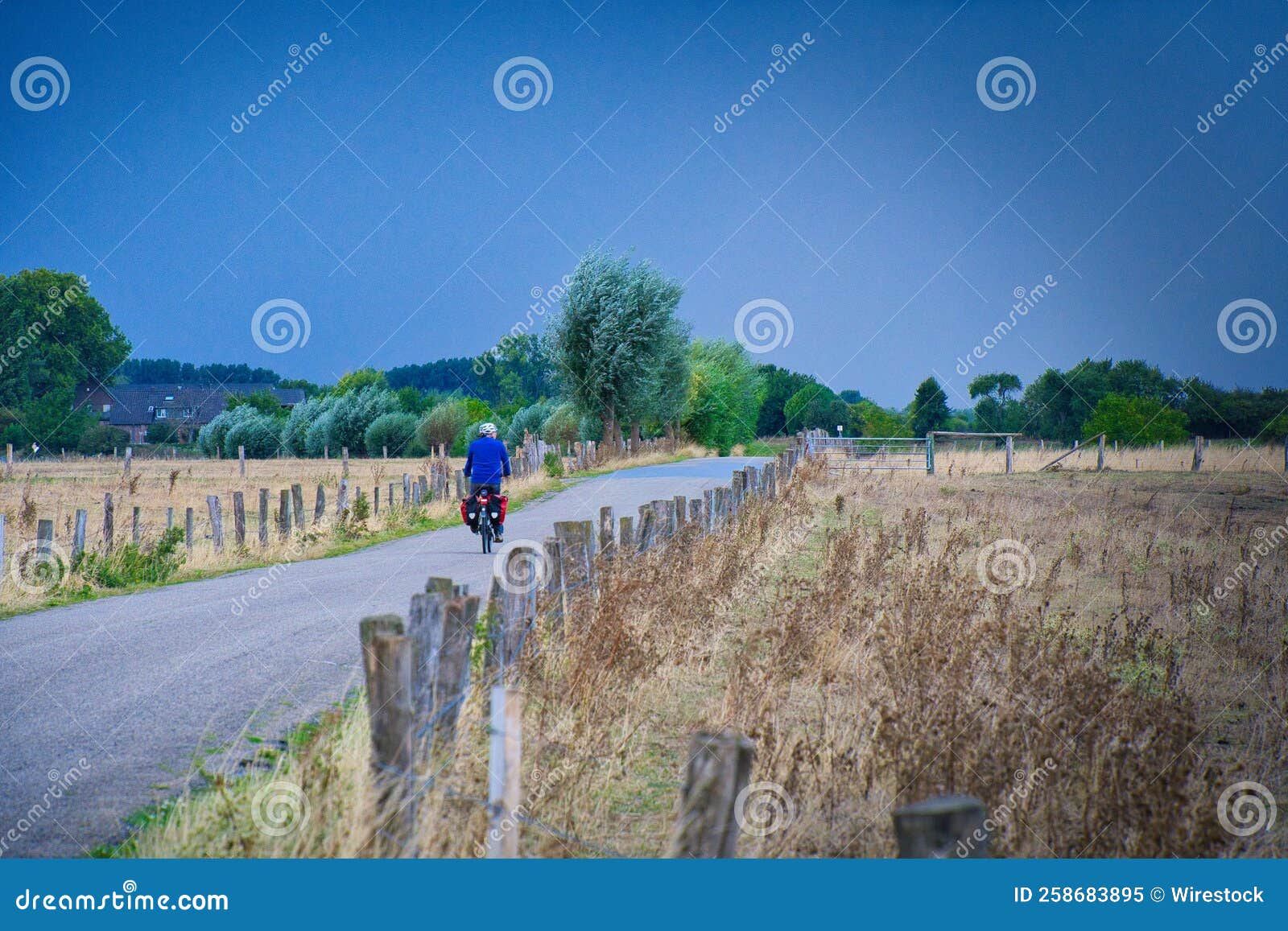 Back View of Human Cycling on Bicycle Surrounded by Growing Trees and ...