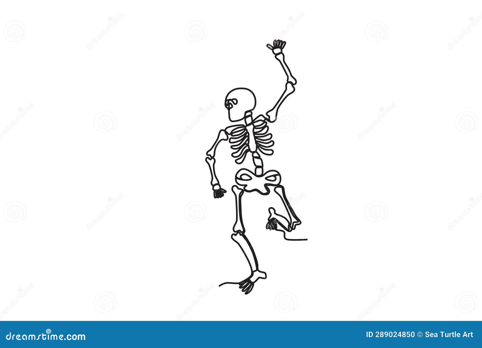 Back View of a Human Skeleton Stock Vector - Illustration of body ...