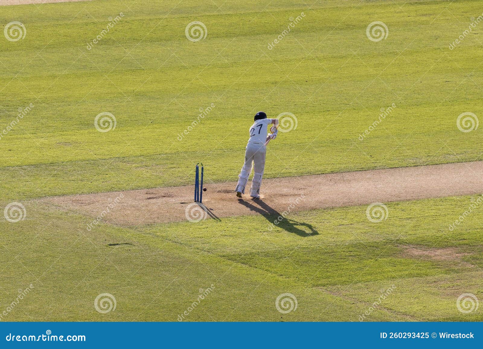 Back View of Human Standing on Cricket Field Stock Image - Image of ...