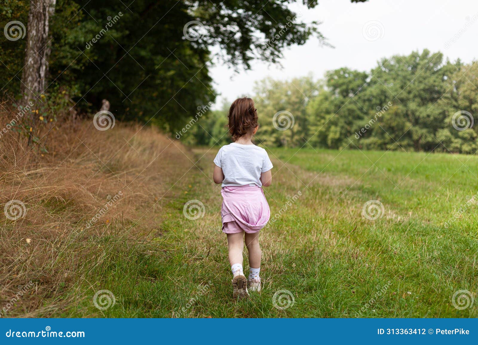 Back View of a Little Girl Running on a Meadow in Summer Stock Photo ...