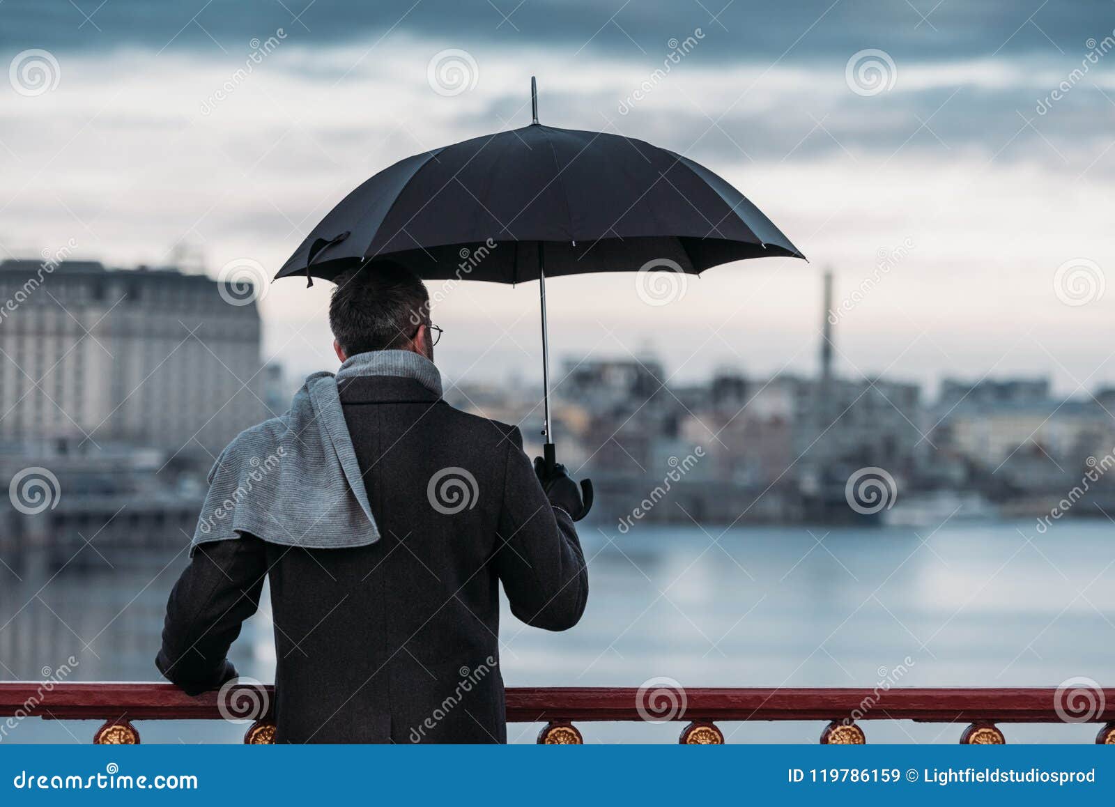 Back view of lonely man stock image. Image of protection - 119786159
