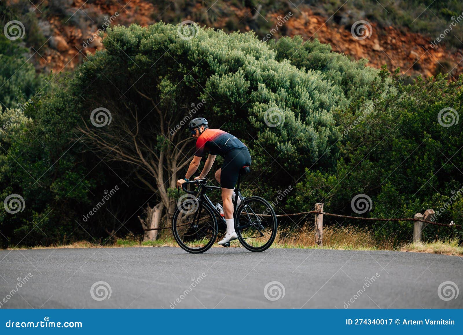 Back View of Male Cyclist Riding a Bicycle in Stock Image - Image of ...