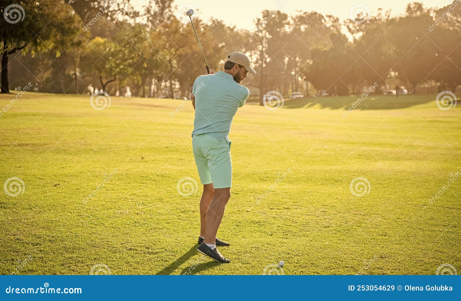 Back View of Male Golf Player on Professional Course with Green Grass ...