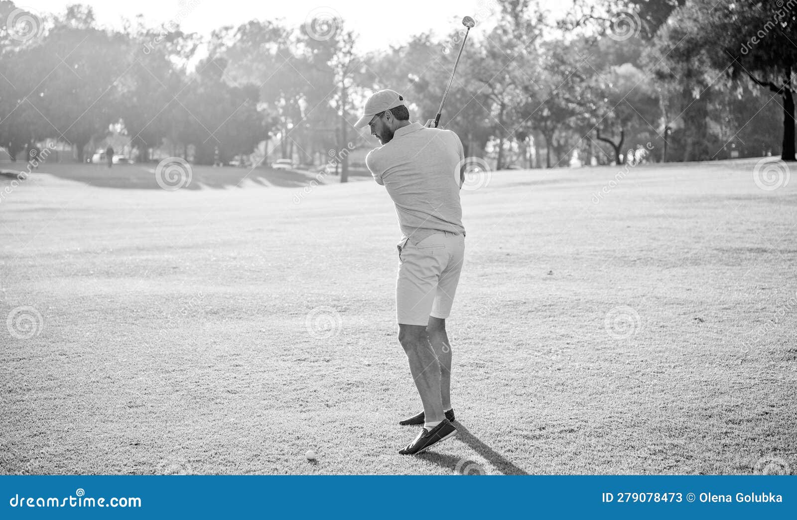 Back View of Male Golf Player on Professional Course with Green Grass ...
