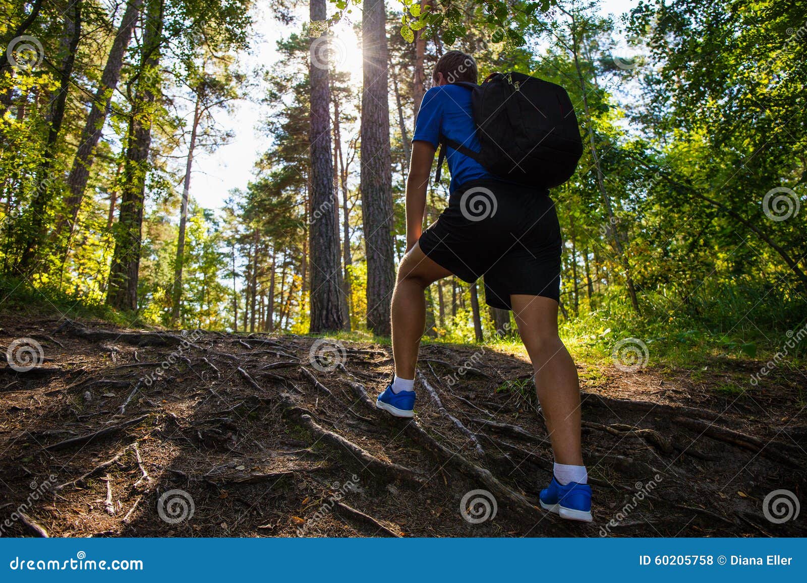 Back View of Male Hiker with Backpack in Forest Stock Photo - Image of ...