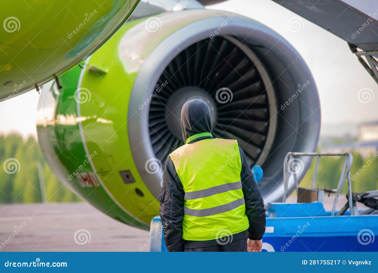 Back View of Male Pilot Standing in Front of Airplane Engine on Airport ...