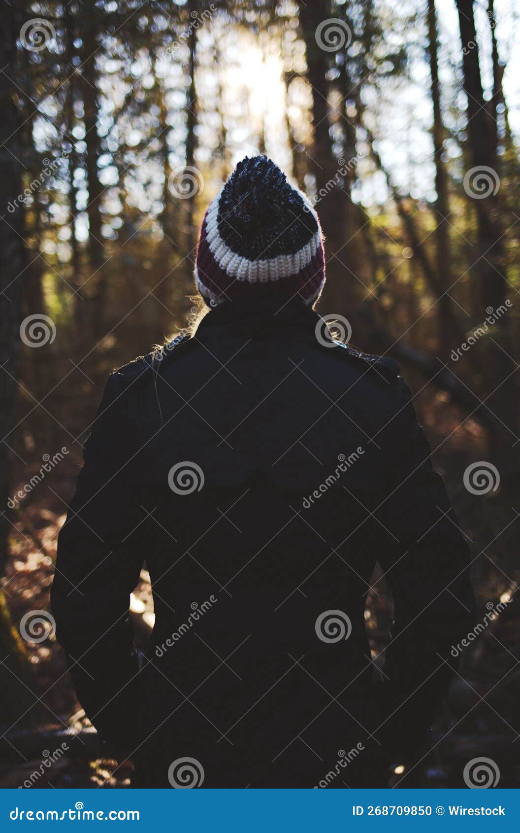 Back View of Male Standing in Forest Stock Photo - Image of tourism ...
