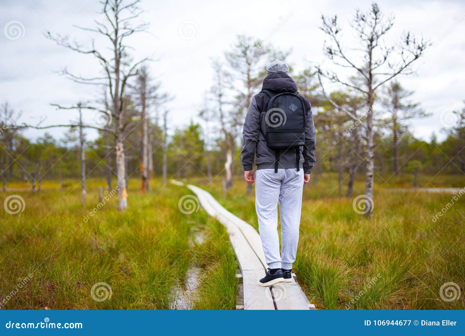Back View of Man with Backpack Hiking in Forest Stock Image - Image of ...