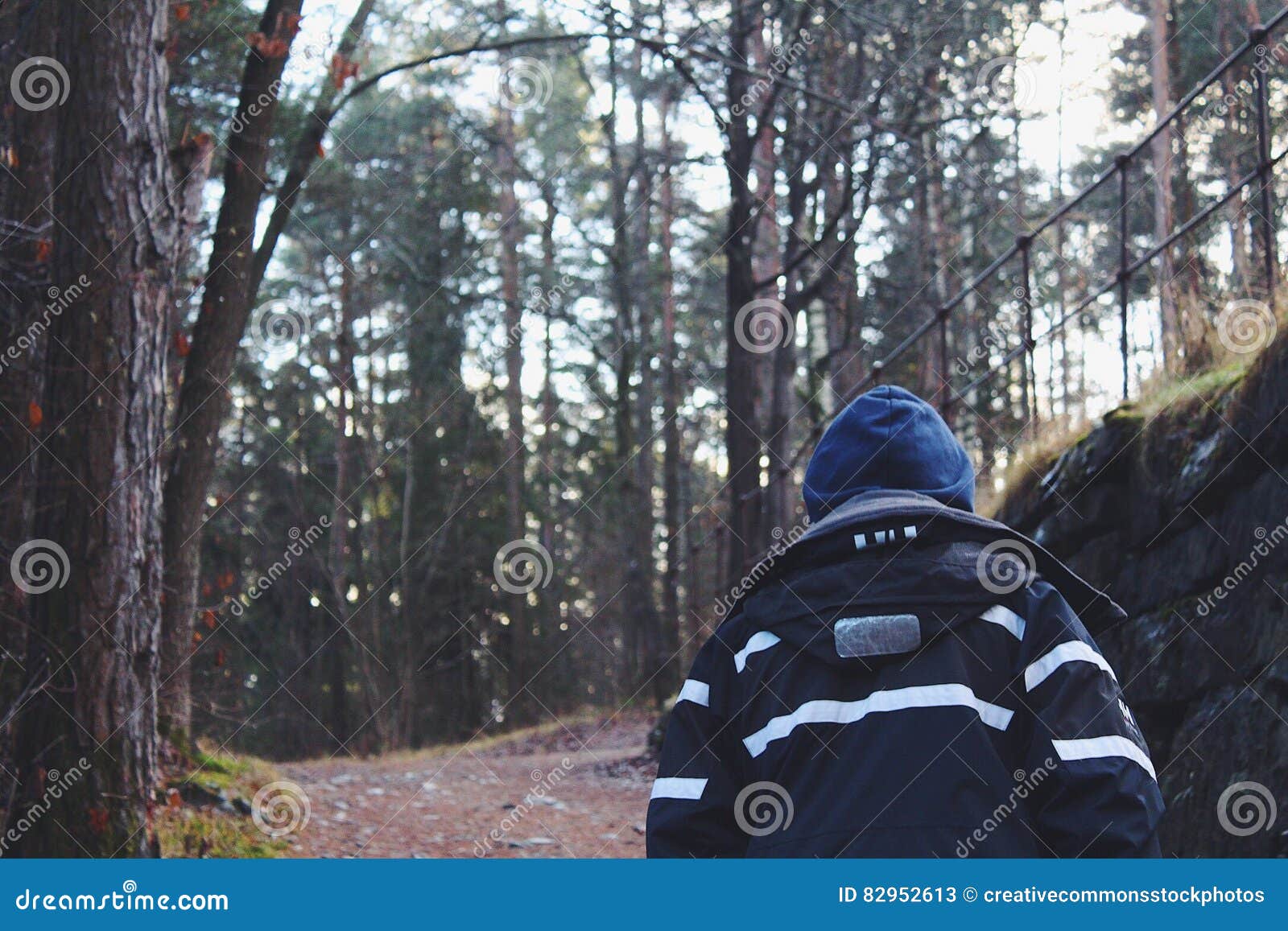 Back View Of Man In Forest Picture. Image: 82952613