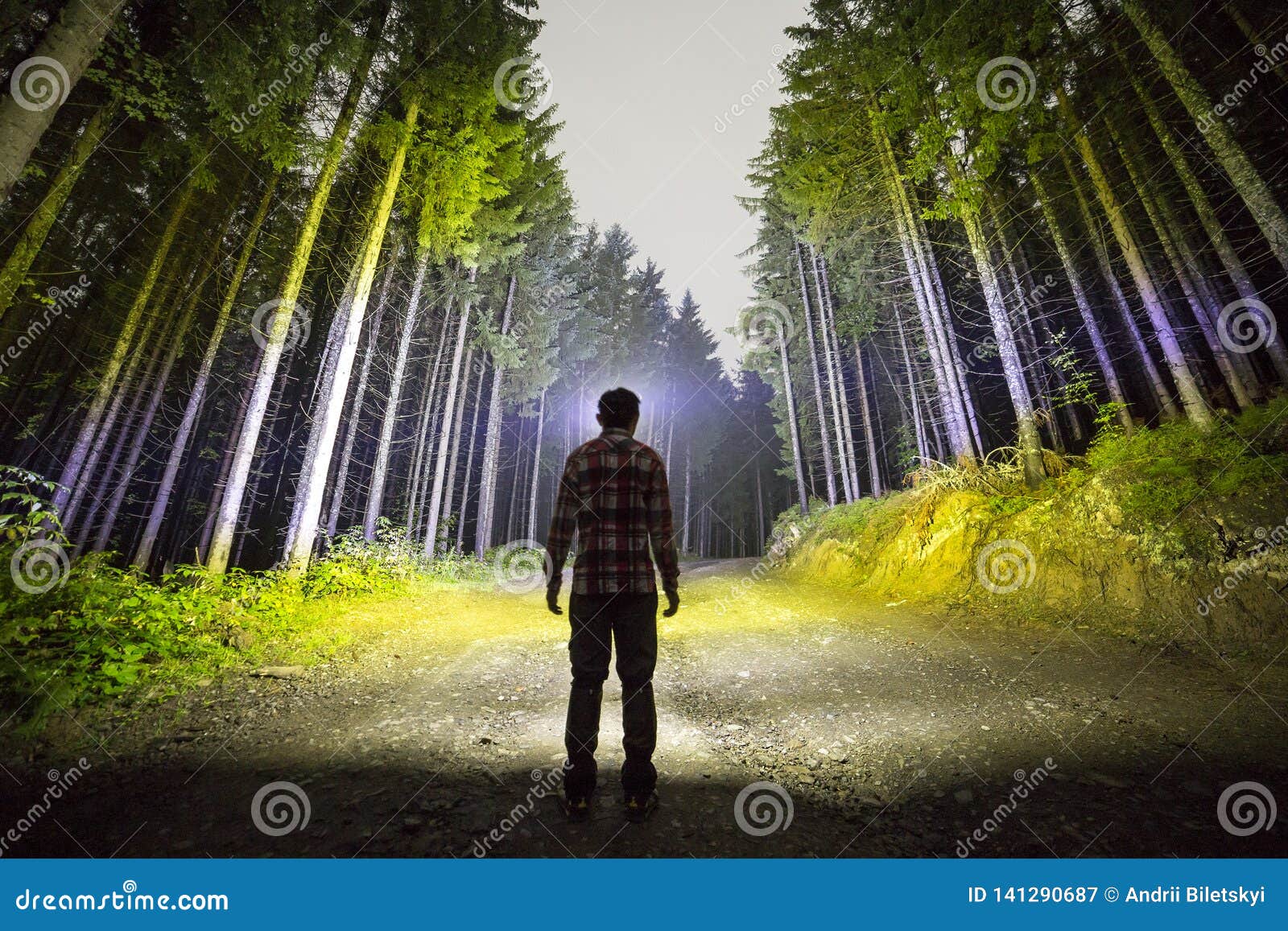 Back View of Man with Head Flashlight Standing on Forest Ground Road ...
