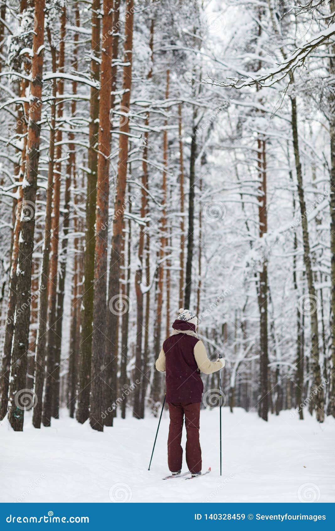 Back View Man Skiing in Forest Stock Image - Image of forest, outside ...
