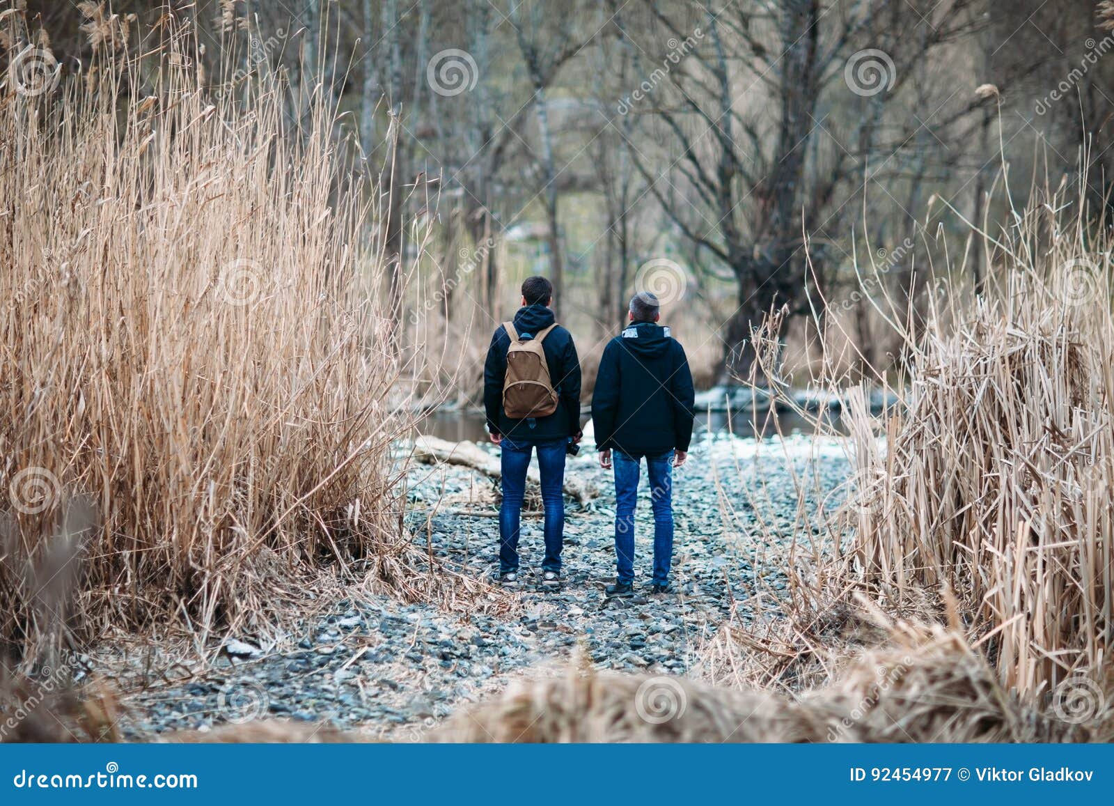 Back View of Men Standing on Road in Forest Stock Image - Image of ...