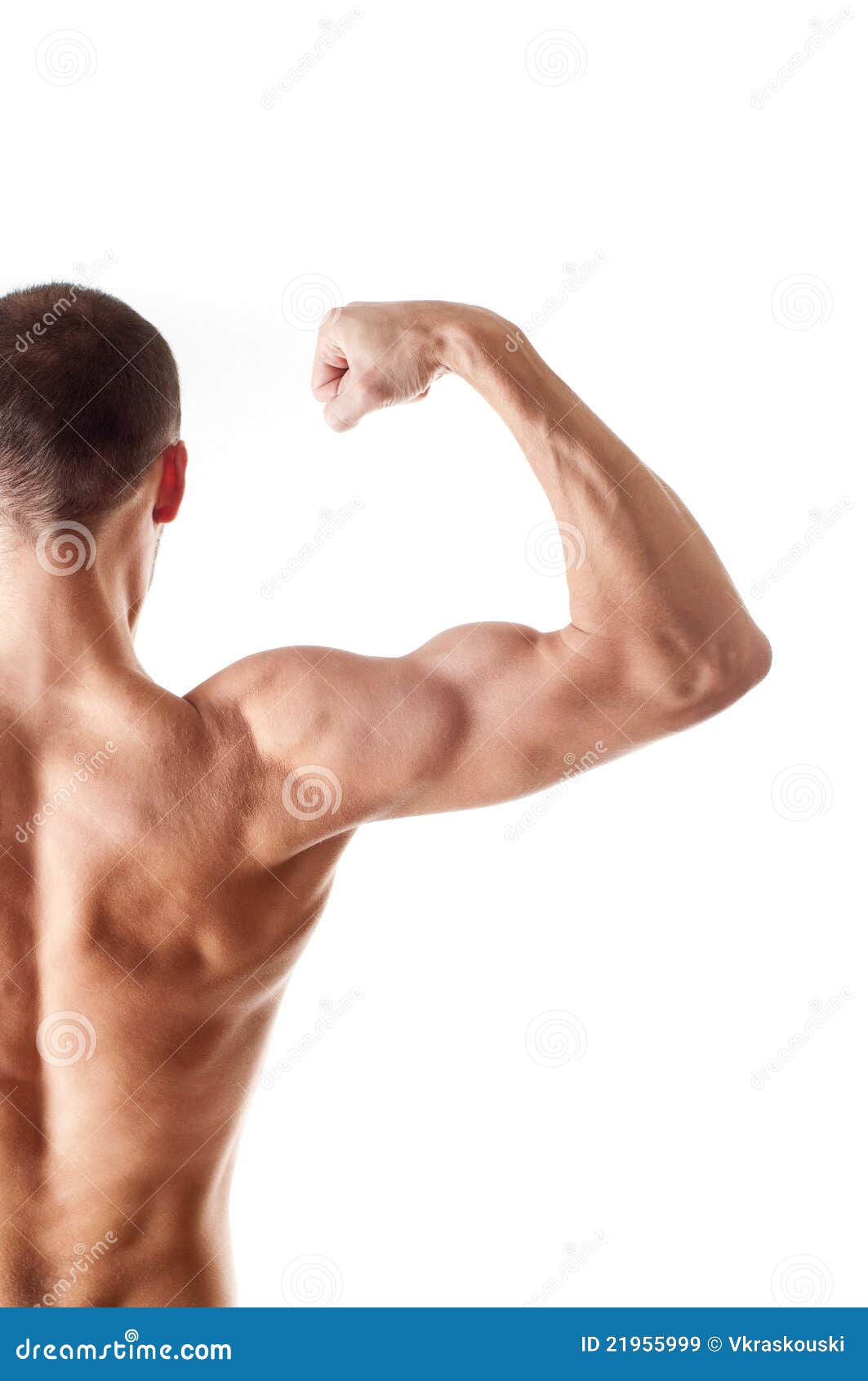 Back View of a Muscular Man Stock Image - Image of body, shoulder: 21955999
