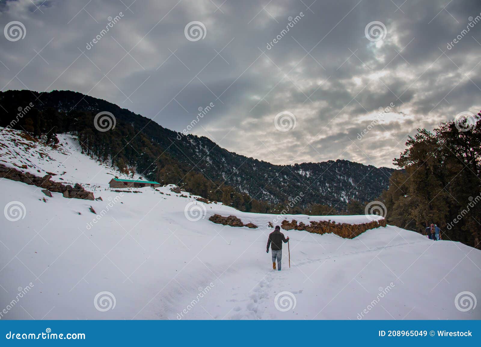 Back View of a Person Skiing on Snowy Mountains Editorial Stock Image ...