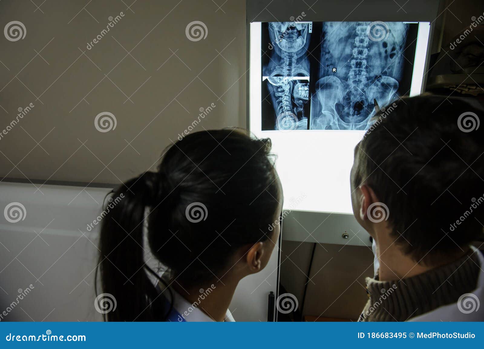Back View: Picture of Two Doctors Exploring Spinal X-ray Stock Image ...