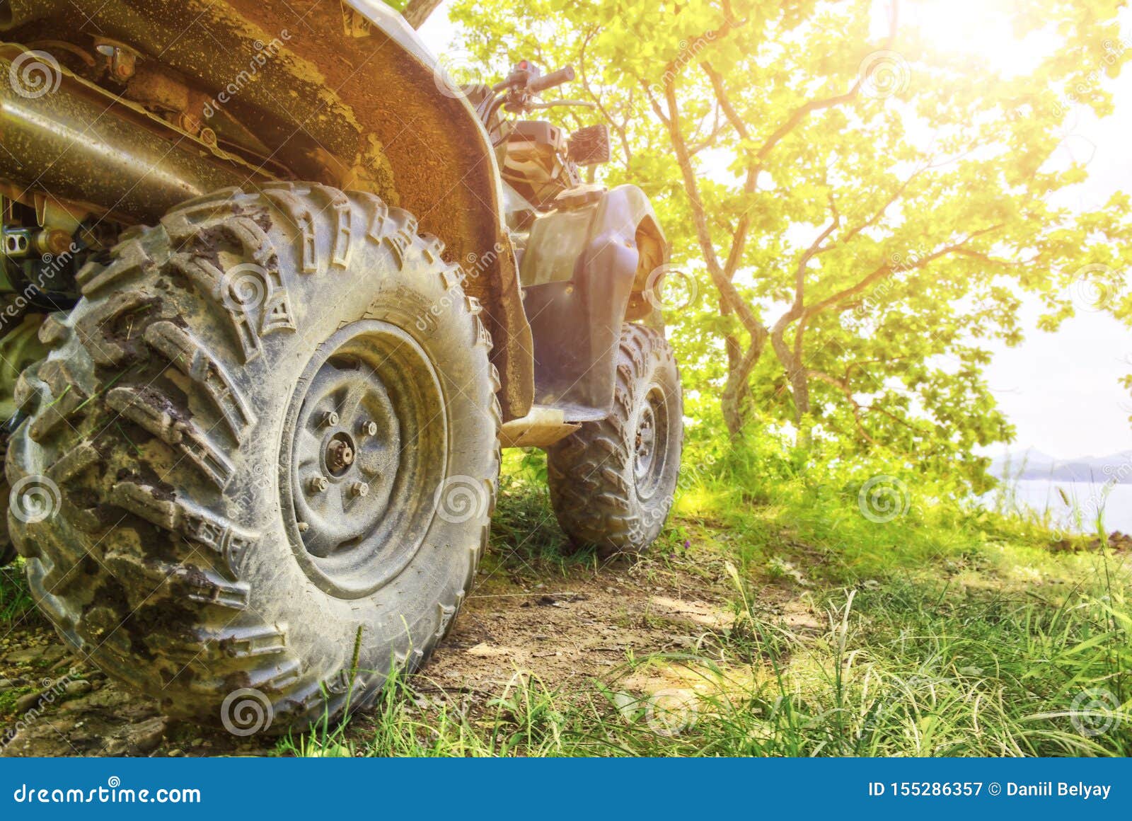 Back View of Quad Bike Deep in the Forest Road. Stock Image - Image of ...
