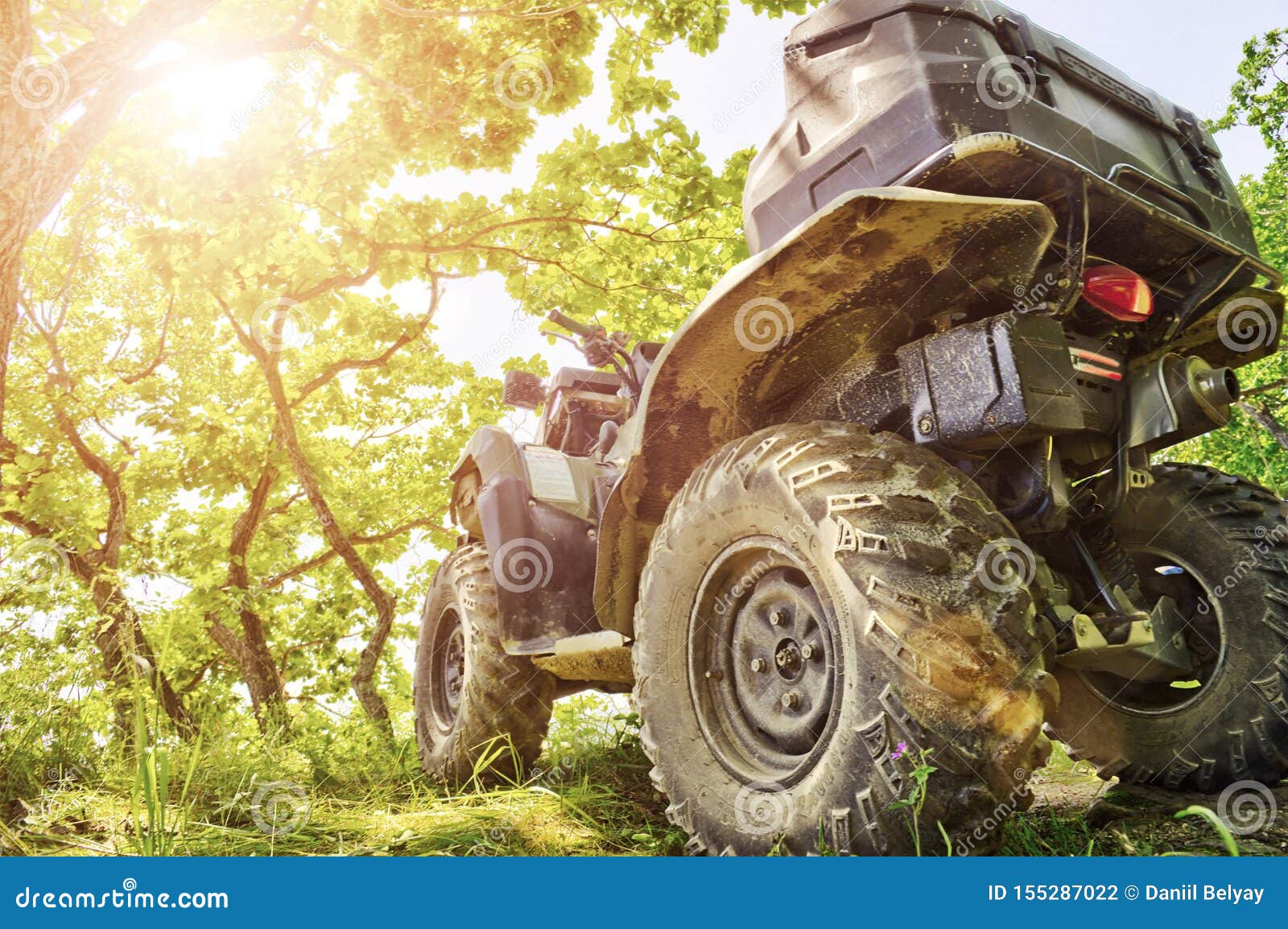 Back View of Quad Bike Deep in the Forest Road. Stock Photo - Image of ...
