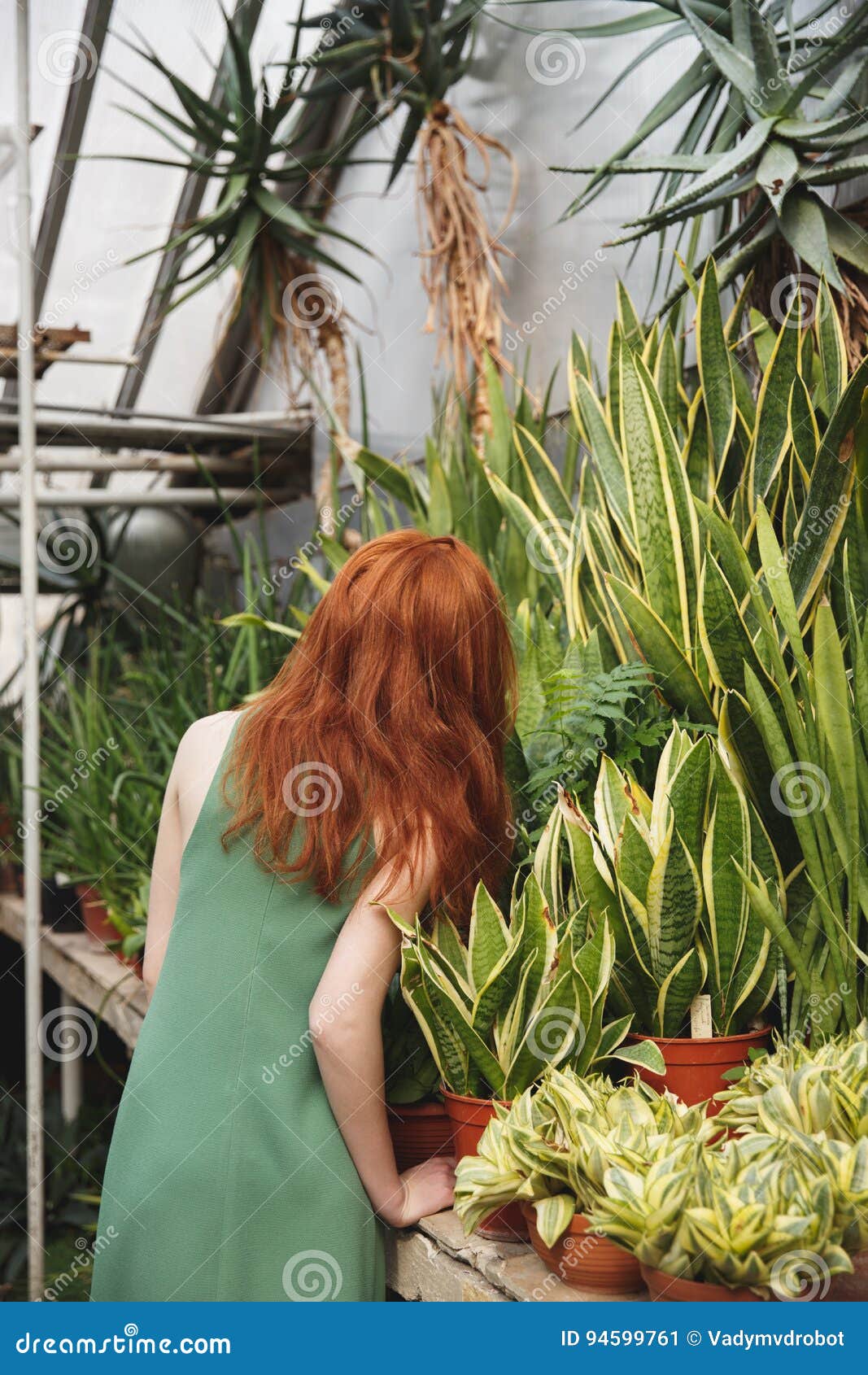 Back View of Redhead Girl Near Greenery Stock Image - Image of healthy ...