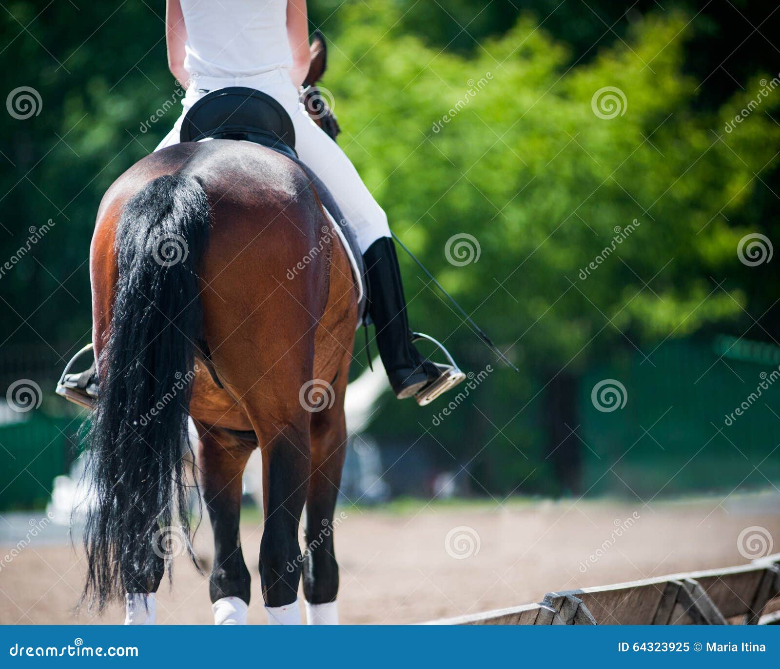 Back View of Rider on a Horse Stock Image - Image of nature ...