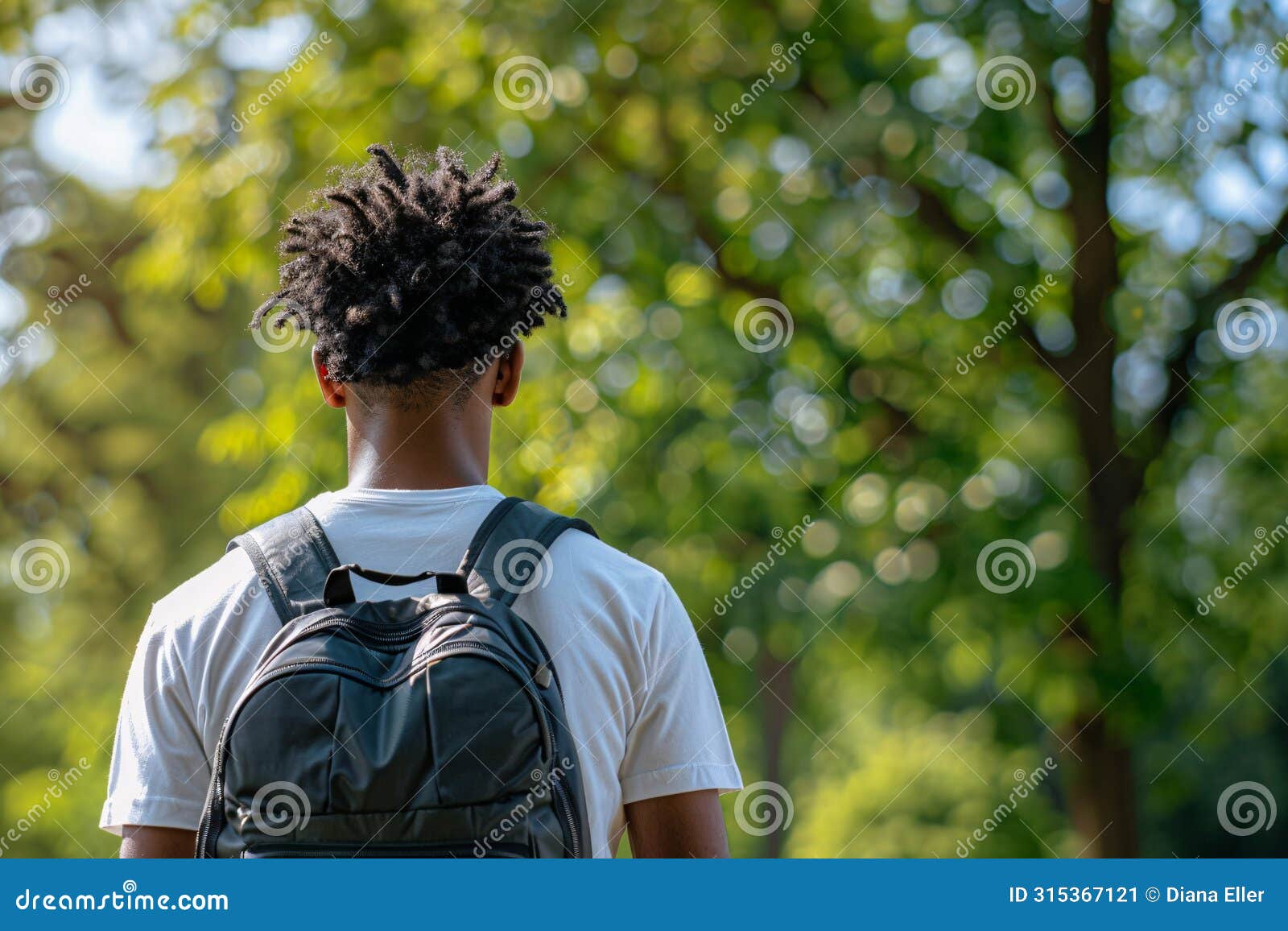 Back View of School Boy in Summer Park Stock Illustration ...