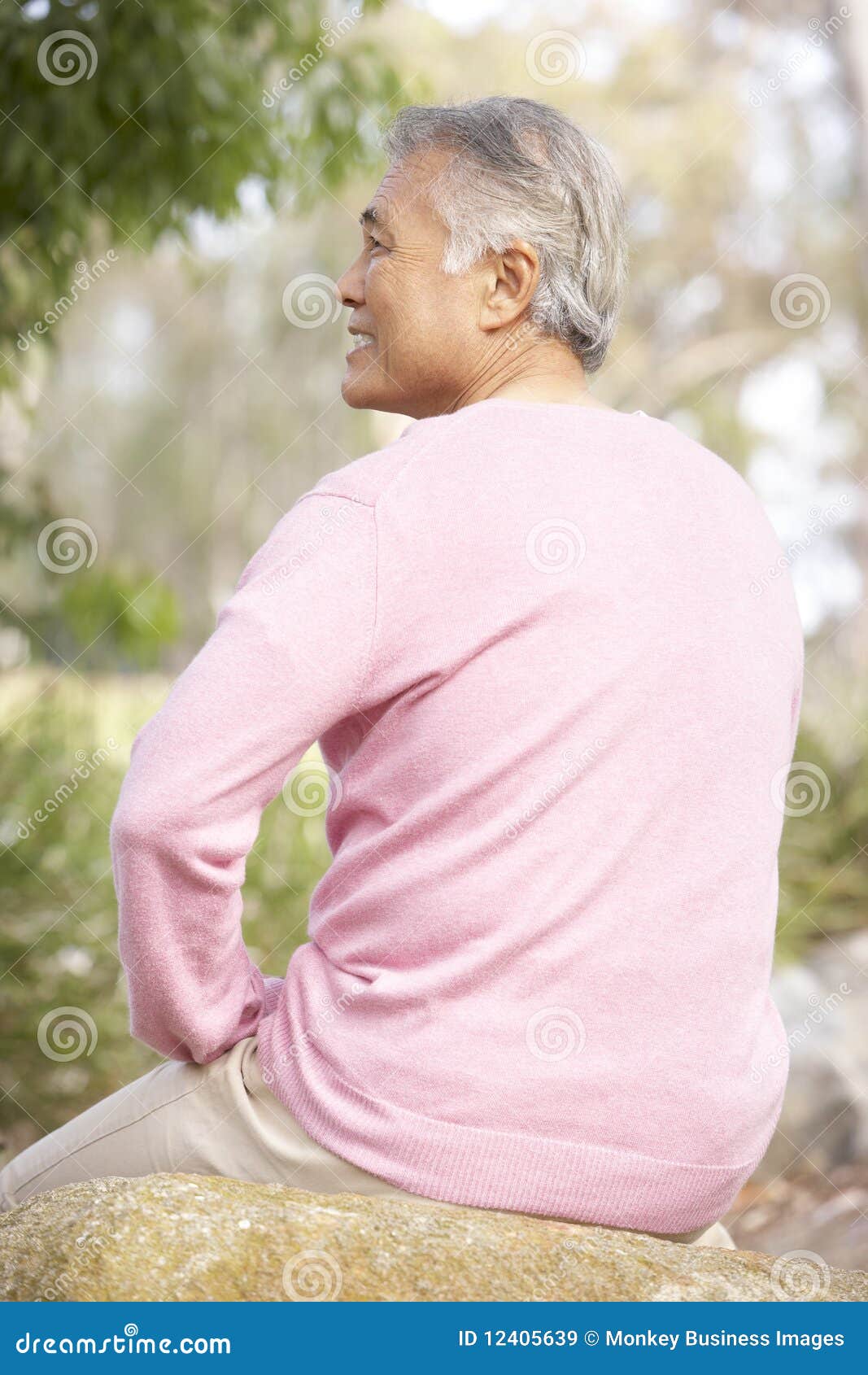 Back View of Senior Man in Park Stock Image - Image of male, copy: 12405639