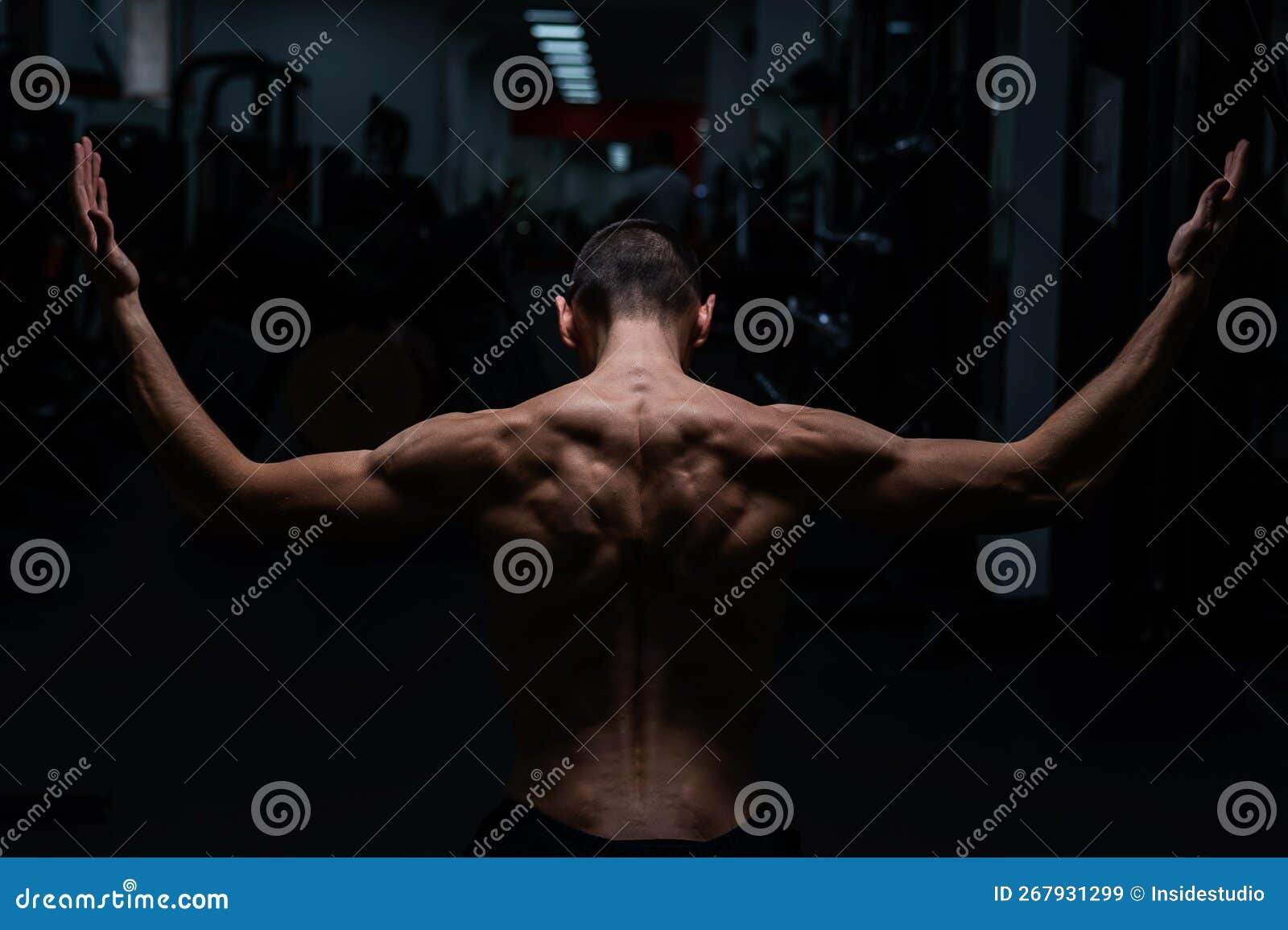 Back View of Shirtless Man with Sculpted Body in Gym. Stock Image ...