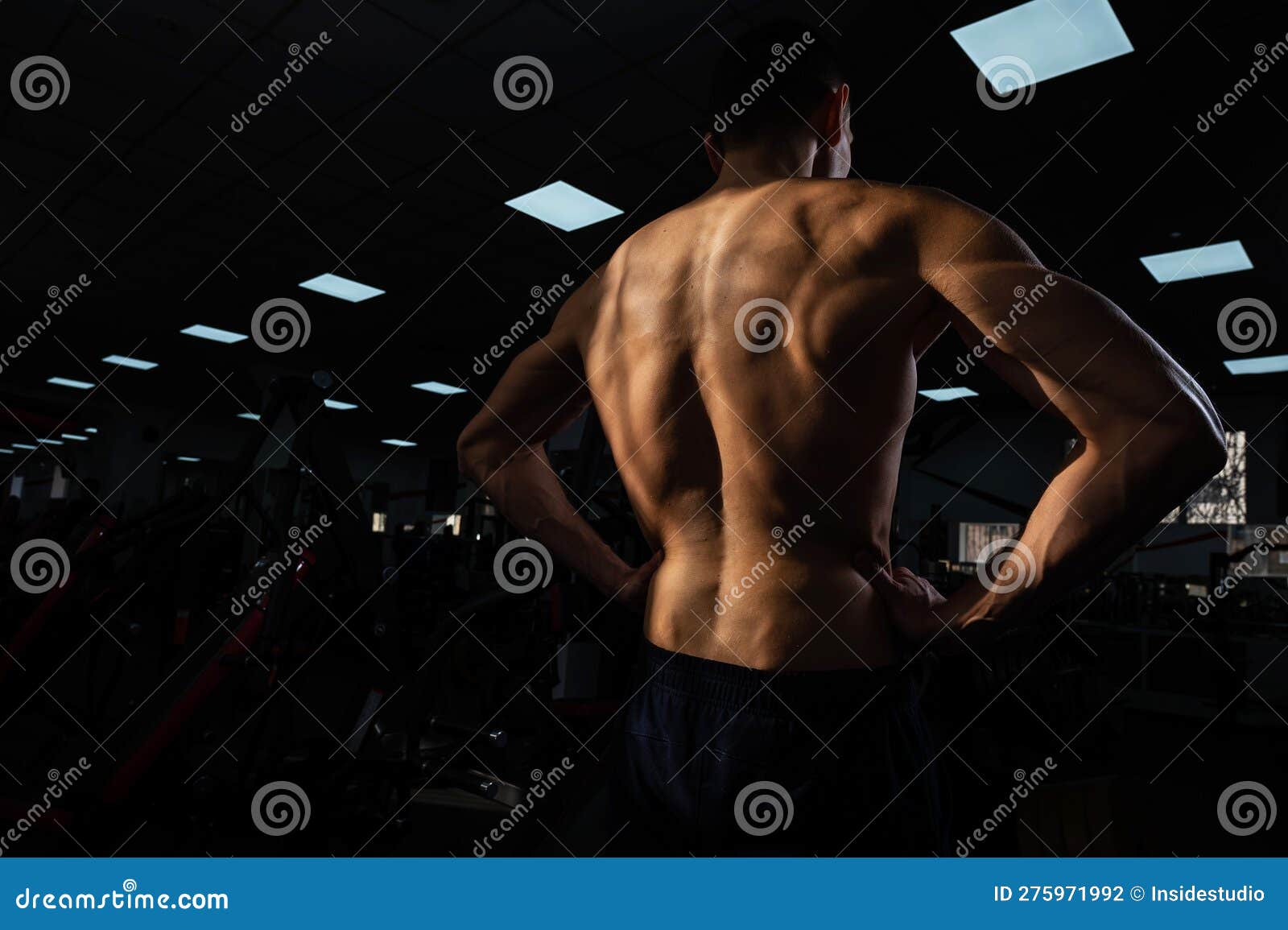 Back View of Shirtless Man with Sculpted Body in Gym. Stock Photo ...