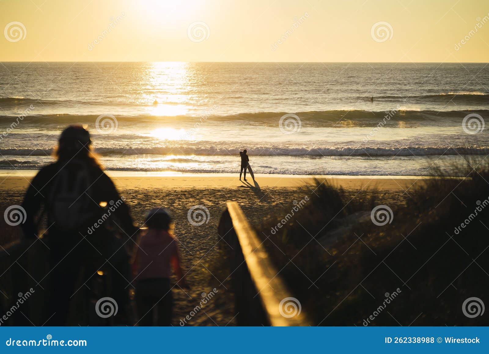 Back View of a Surfer Standing on the Sandy Beach and Enjoying the View ...