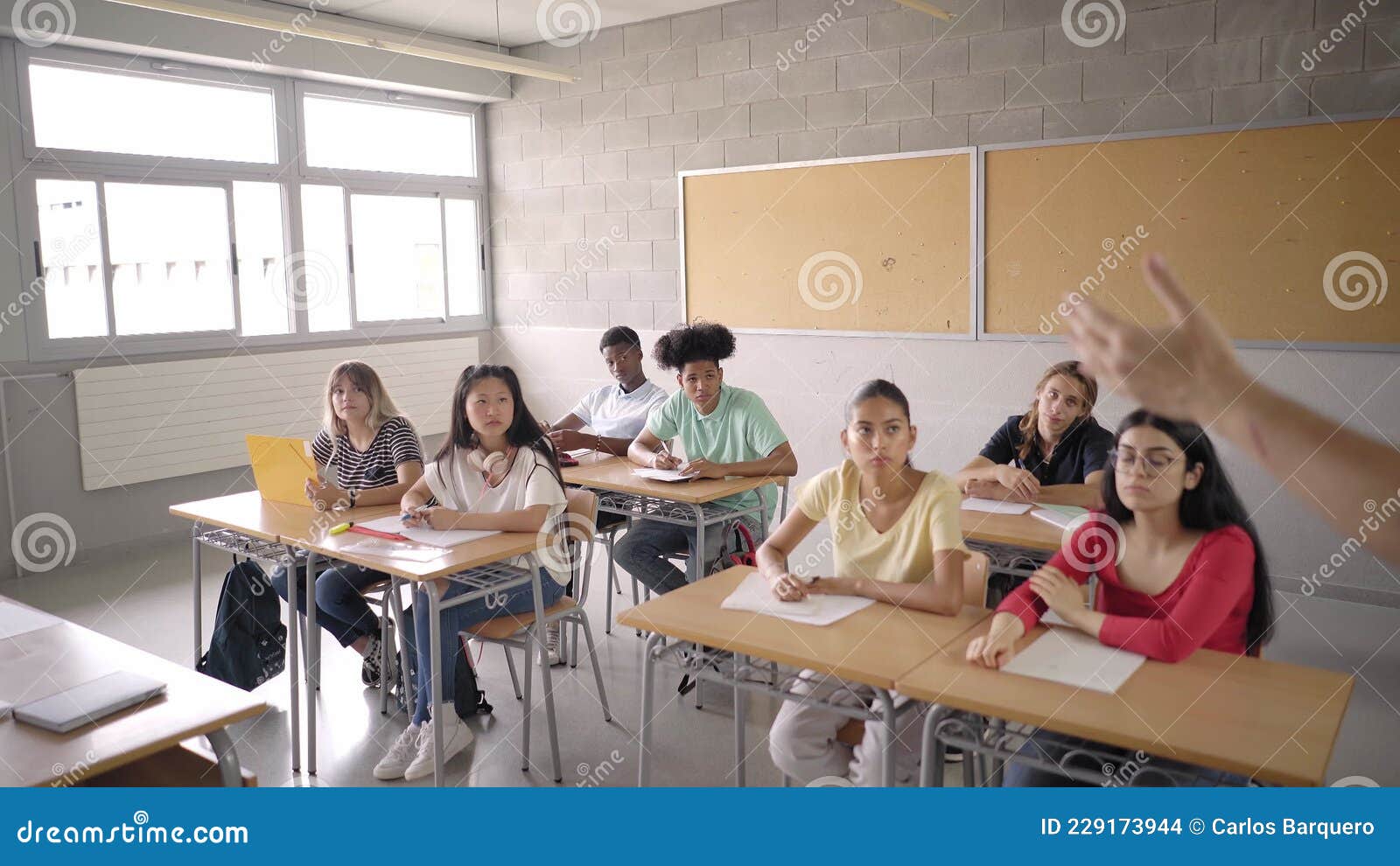 Back View of the Teacher Teaching His Students. Young Multiracial ...