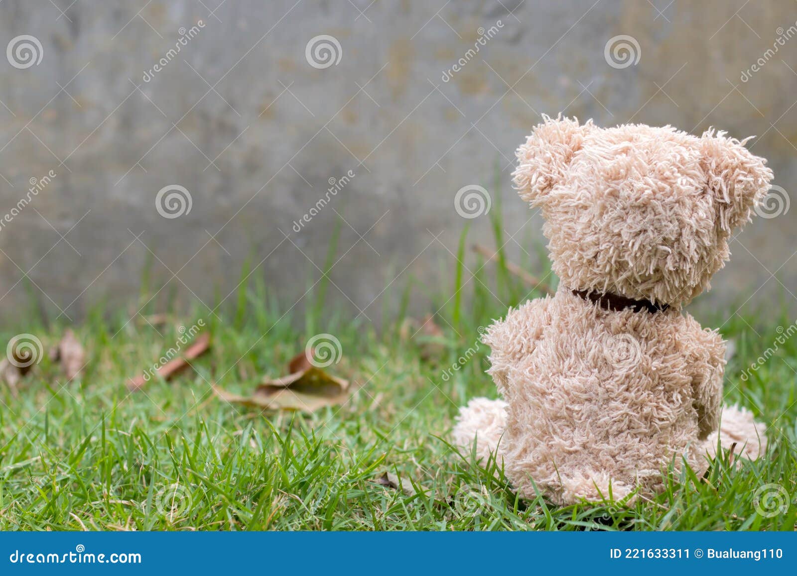 Back View of Teddy Bear Looking at the Park Stock Image - Image of ...