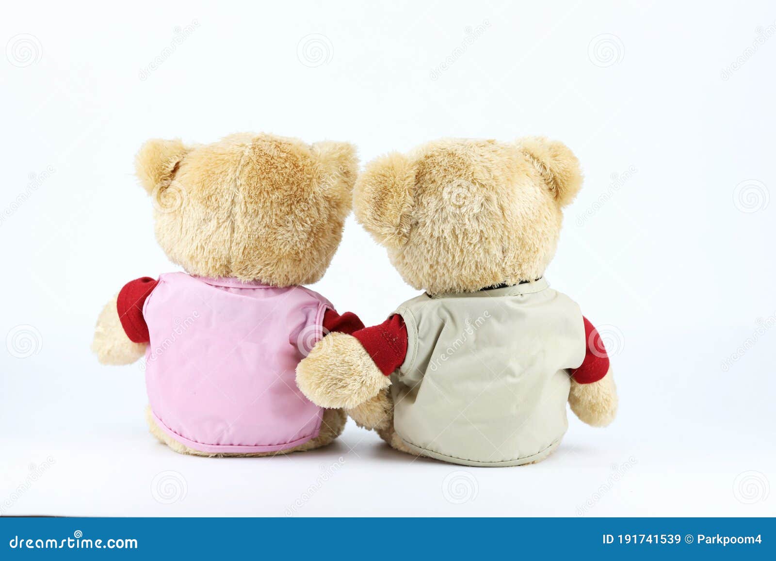 Back View Teddy Bears Isolated and White Background Stock Image - Image ...