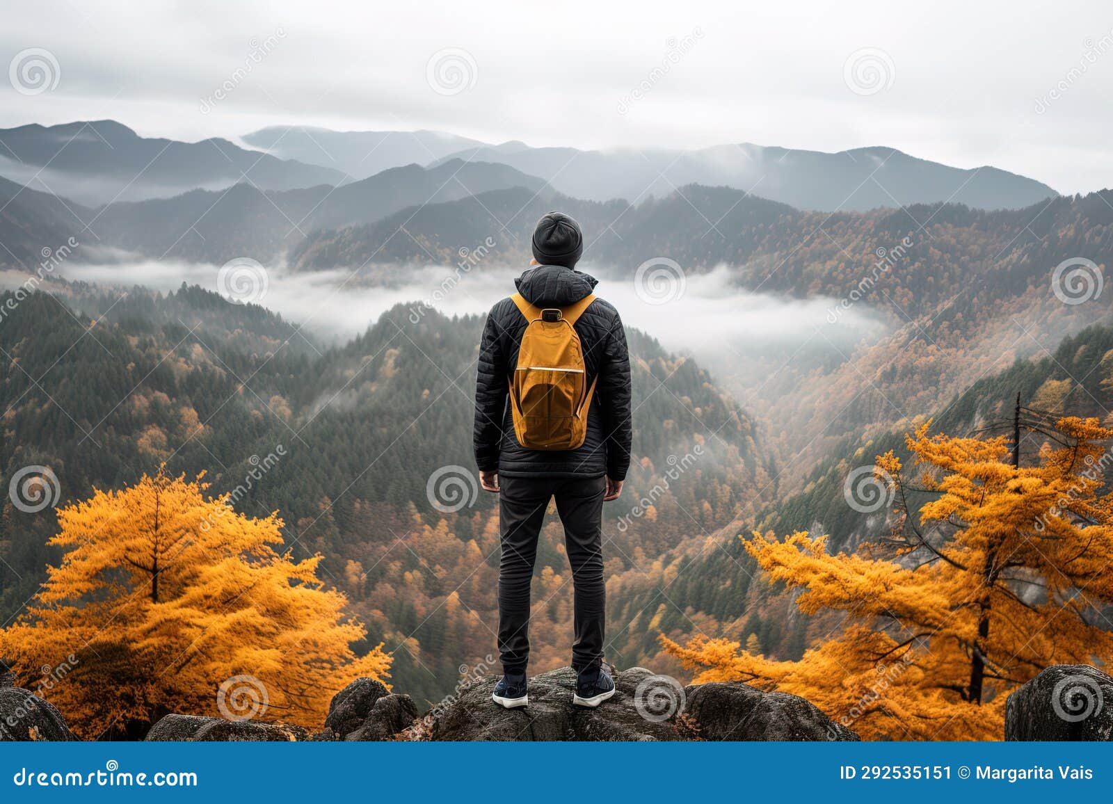 Back View Tourist Hiker in Autumn Misty Mountains Stock Illustration ...