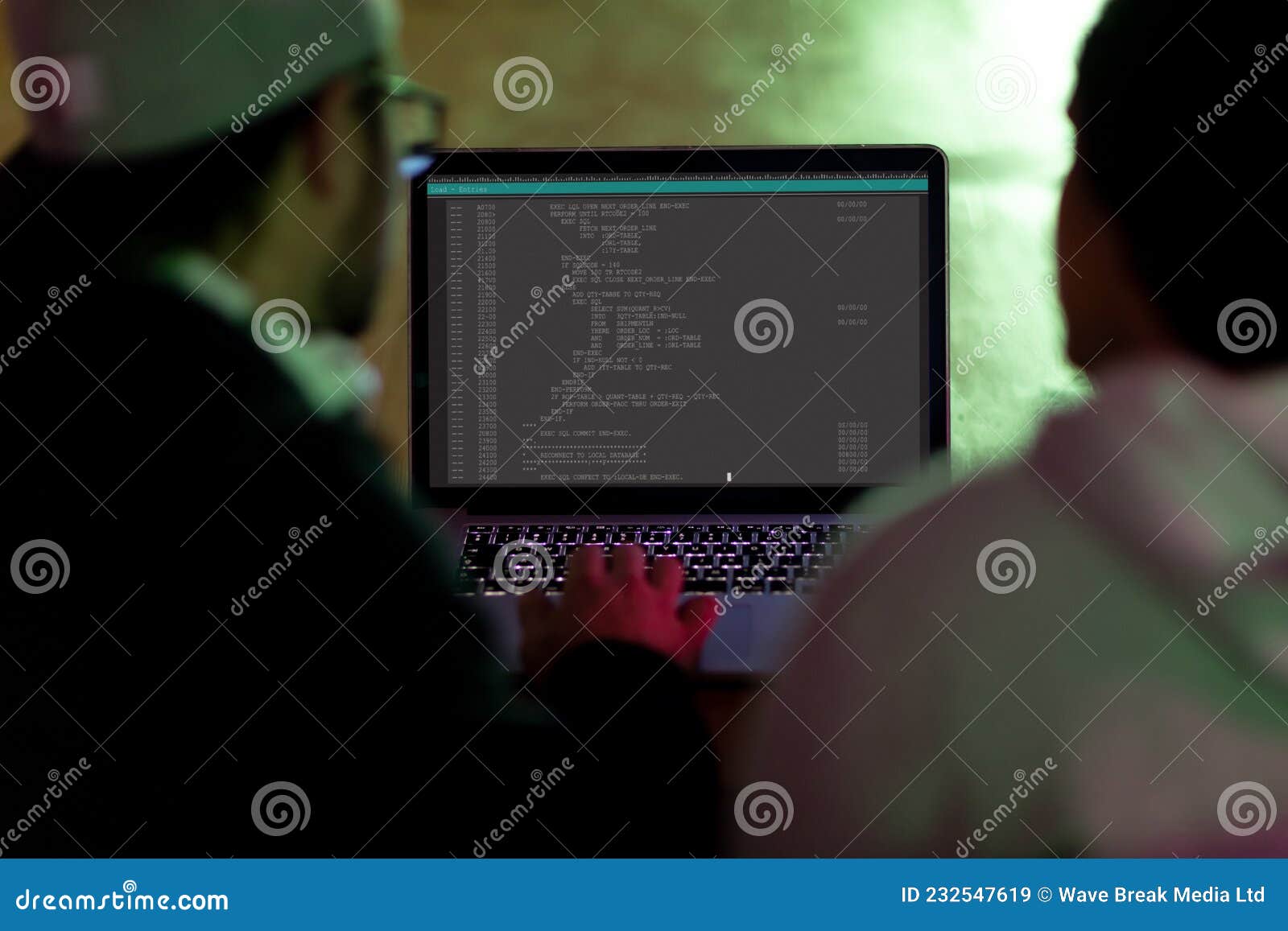 Back View of Two Diverse Male Colleagues Using Laptop with Coding on ...