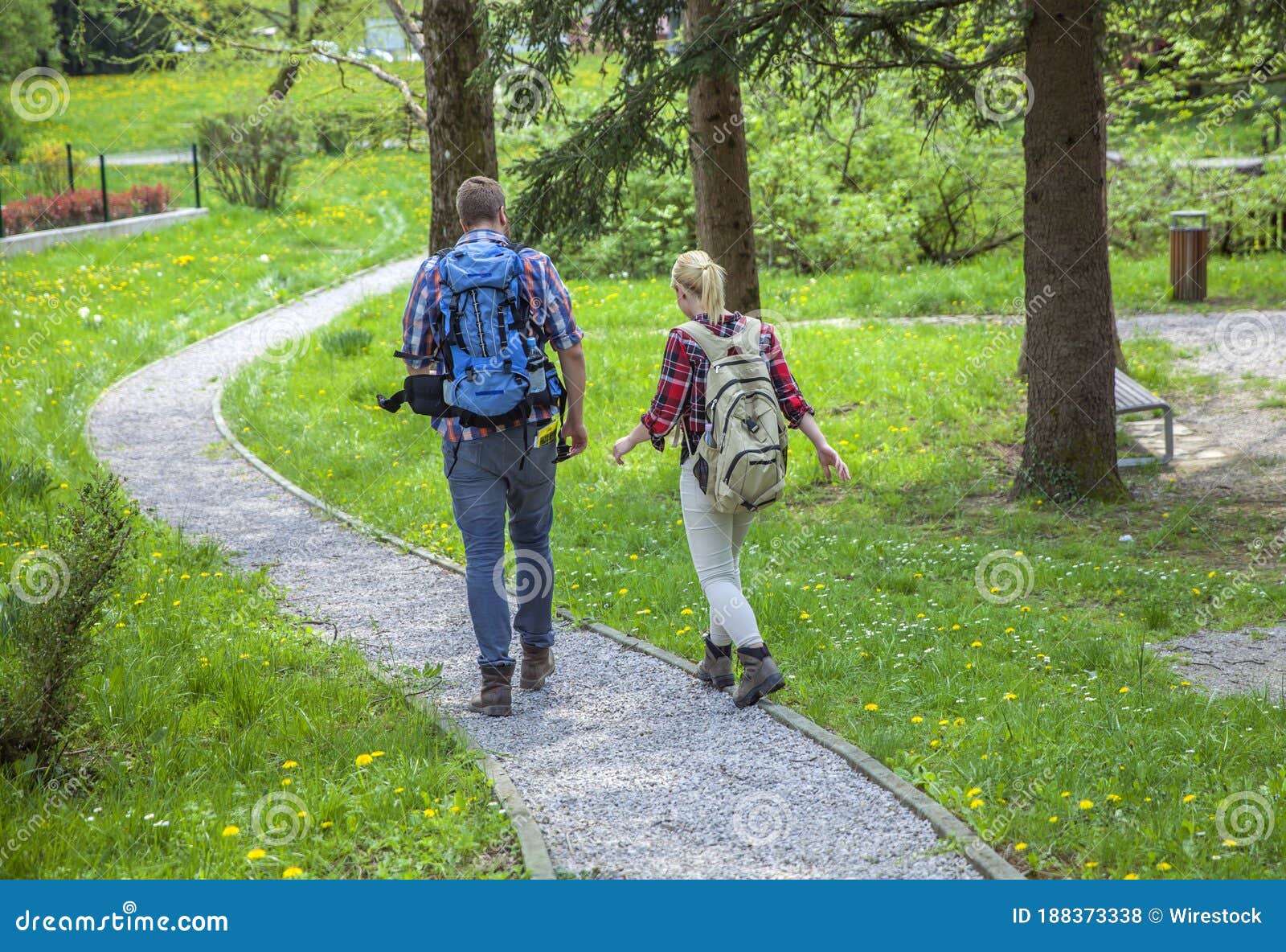 Back View of Two Friends Walking in a Park on a Sunny Day Stock Photo ...