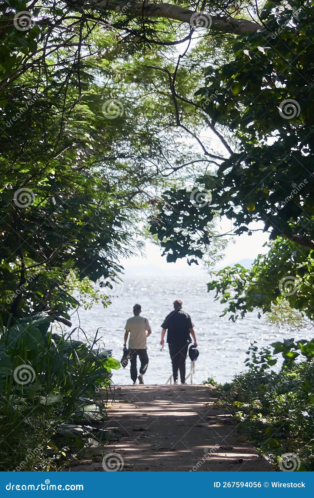 Back View of Two Men Walking in Beach Surrounded by Trees Editorial ...