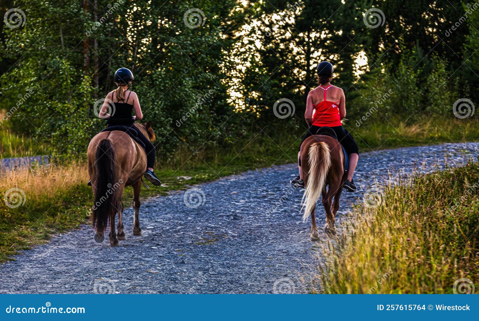 Back View of Two People Riding Horses Stock Photo - Image of summer ...